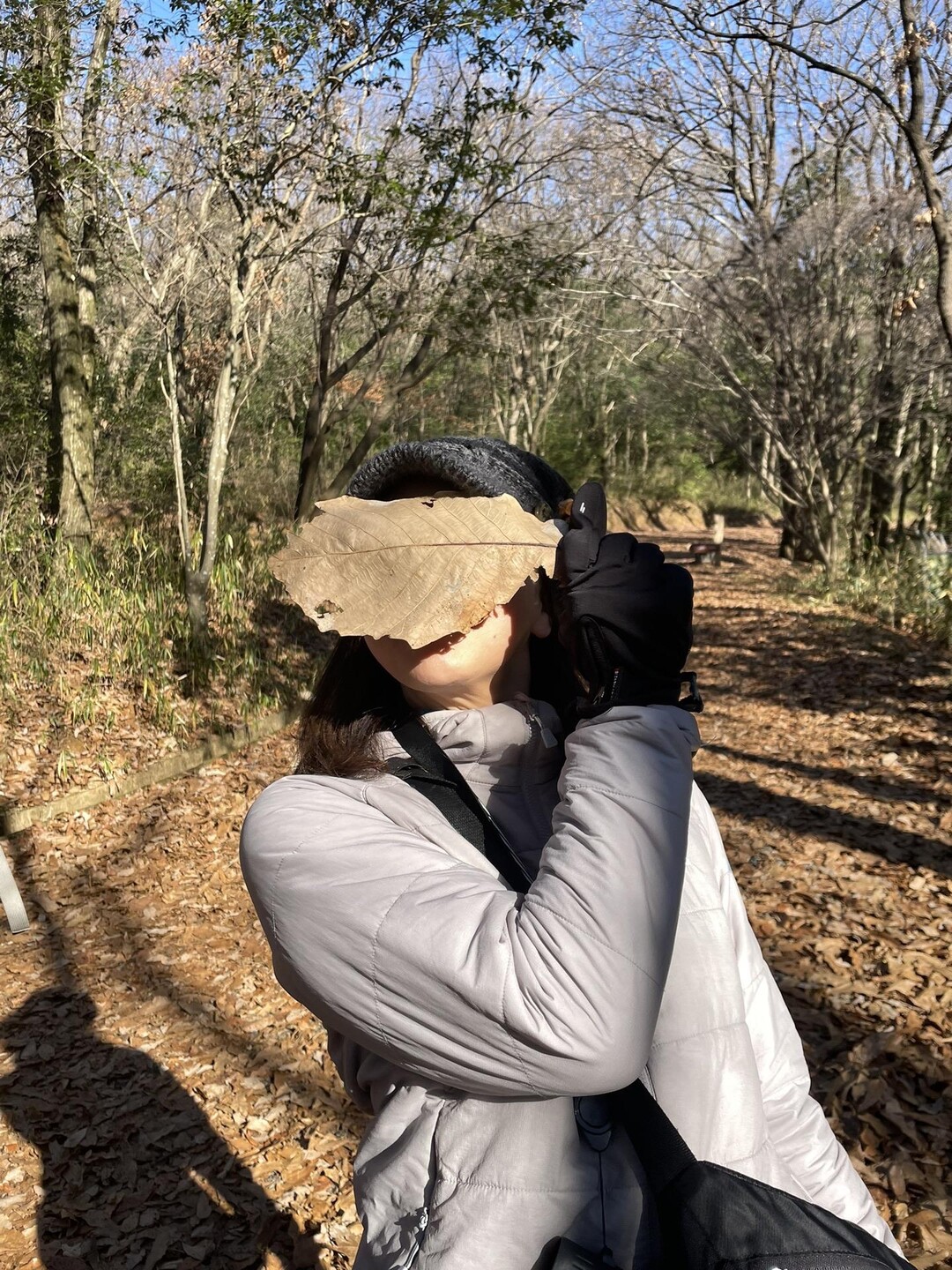 自然観察会in 立田山 / yuriさんの立田山の活動データ | YAMAP / ヤマップ
