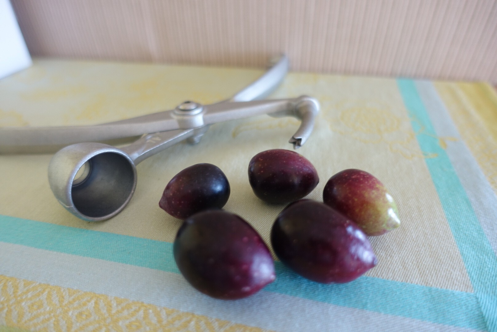 1年ほどアルコール類に漬けるだけでオリー... / zuccoさんのモーメント | YAMAP / ヤマップ