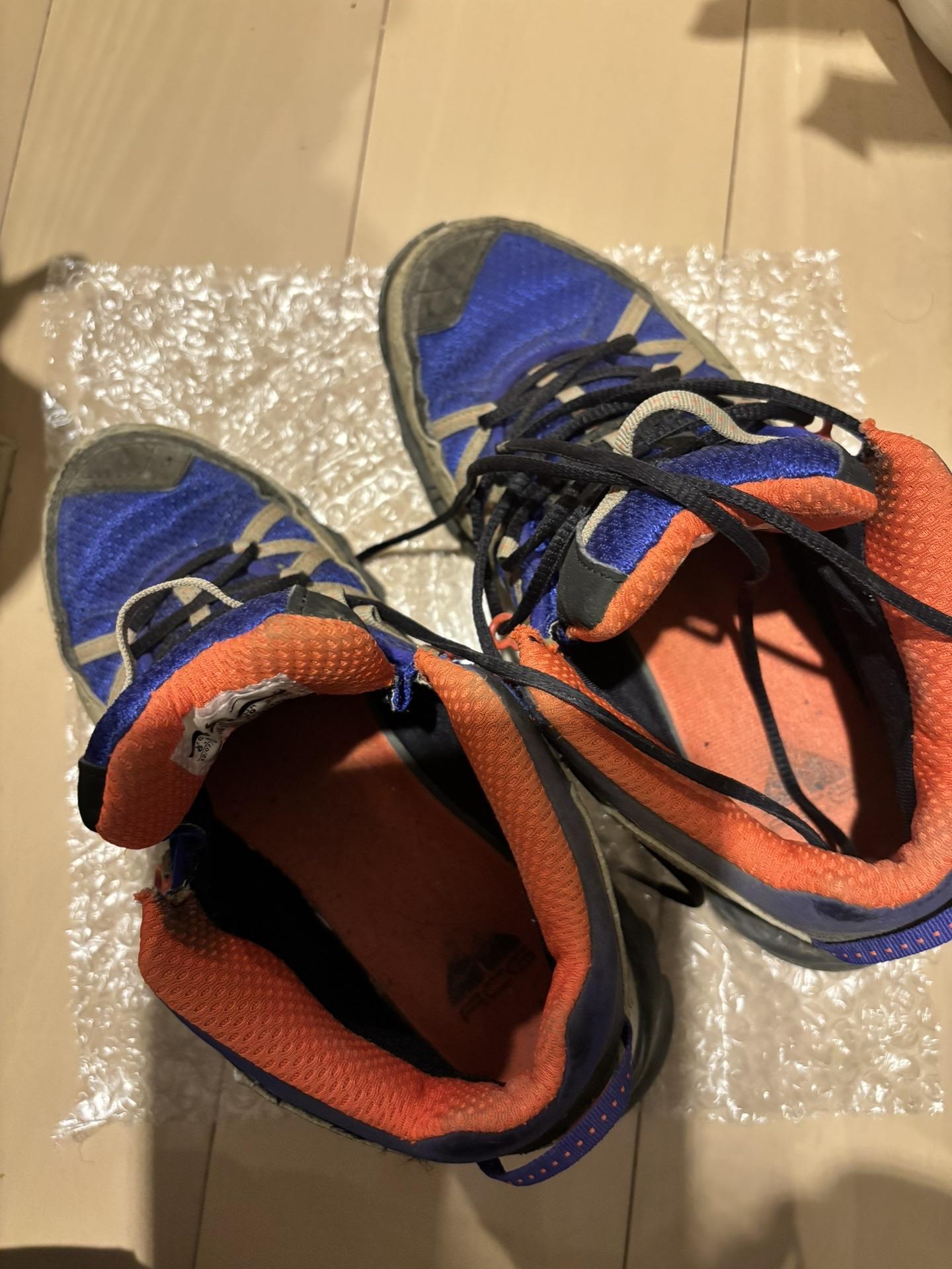 長年、山行の相棒だった靴。とうとう寿命が... / drankmonkeyさんのモーメント | YAMAP / ヤマップ