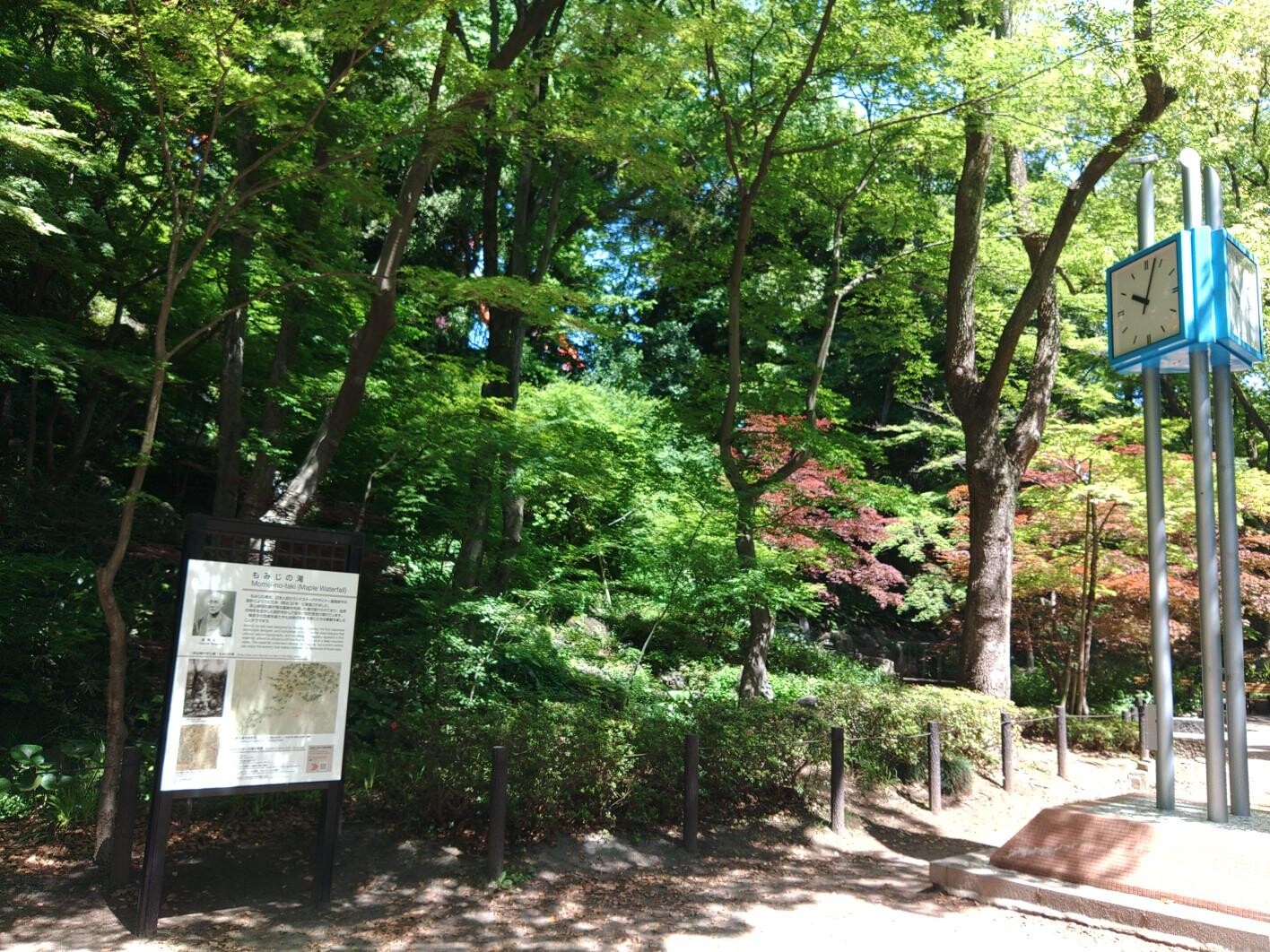 紅葉山 / yoさんの東京都23区 中央エリアの活動データ | YAMAP / ヤマップ