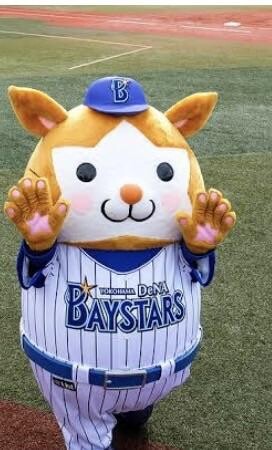 BAYSのページ | YAMAP / ヤマップ