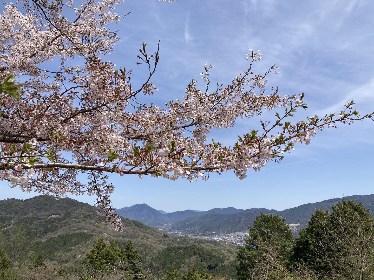 松笠山 / Akkyさんの二ヶ城山・松笠山の活動データ | YAMAP / ヤマップ