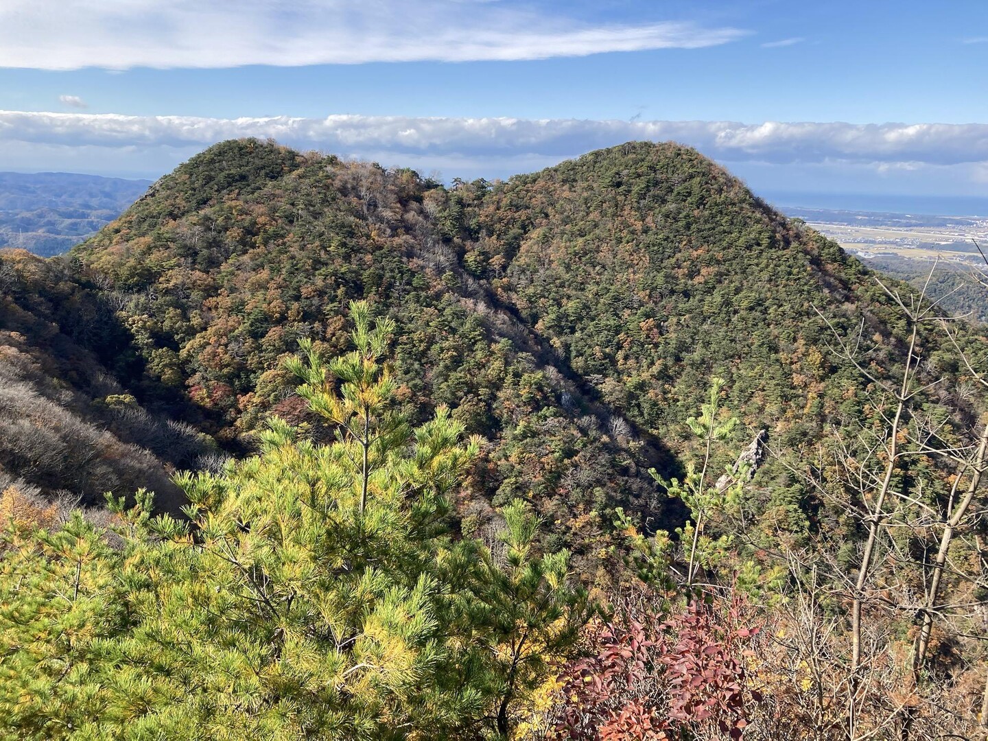 鞍掛山(TSコース ️109鉄塔) 24-031 / Marvinさんの鞍掛山・後山・三童子山の活動データ | YAMAP / ヤマップ