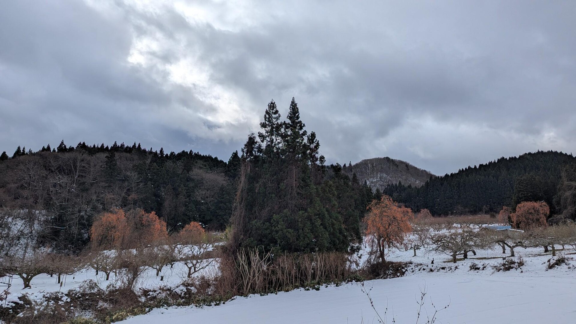 名久井岳 / RS-1 PHD さんの名久井岳 の活動データ | YAMAP / ヤマップ