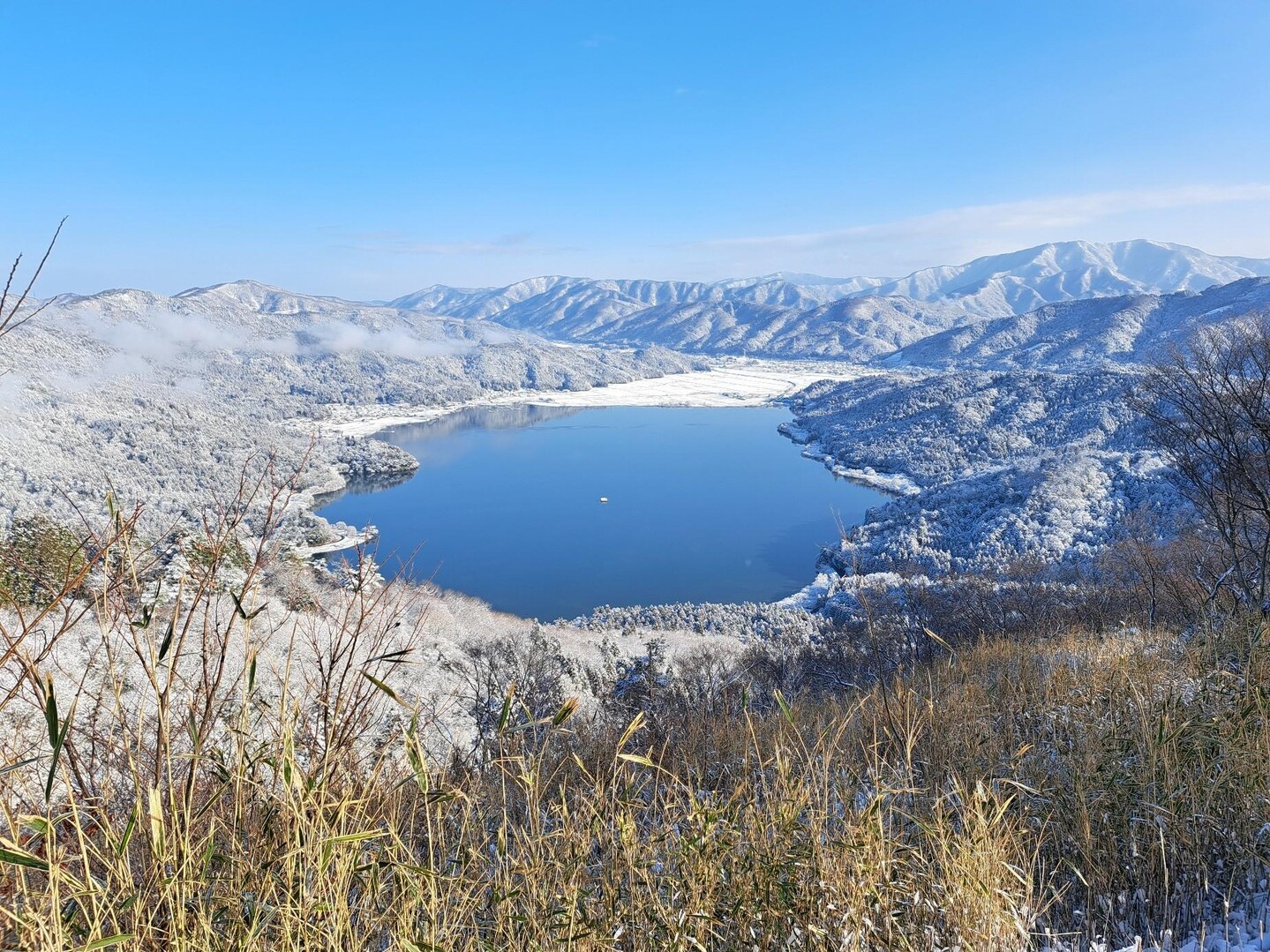 先週の寝坊のリベンジ～賤ヶ岳・山本山ピストン～ / tottinさんの賤ヶ岳・山本山の活動データ | YAMAP / ヤマップ