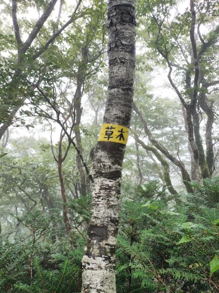 最後の丸山・草木 / Forest1968さんの藤原岳・御池岳の活動データ | YAMAP / ヤマップ