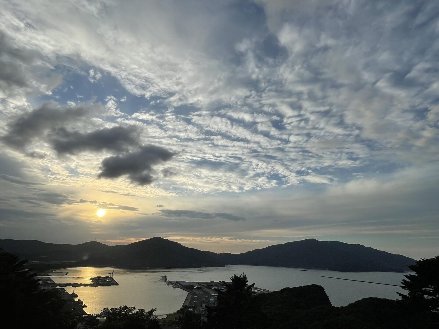 3日ぶり 天筒山 / miniさんの天筒山・中池見湿地の活動データ | YAMAP / ヤマップ