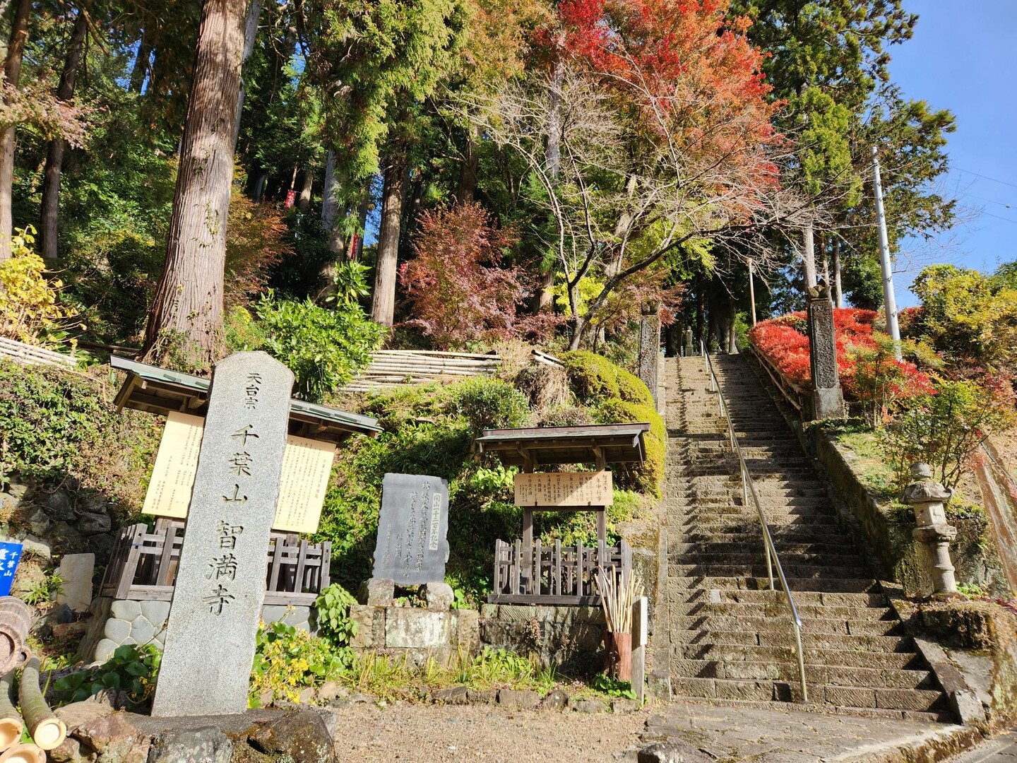 千葉山・白岩寺山-2024-12-13 / junjunさんの千葉山・白岩寺山の活動日記 | YAMAP / ヤマップ