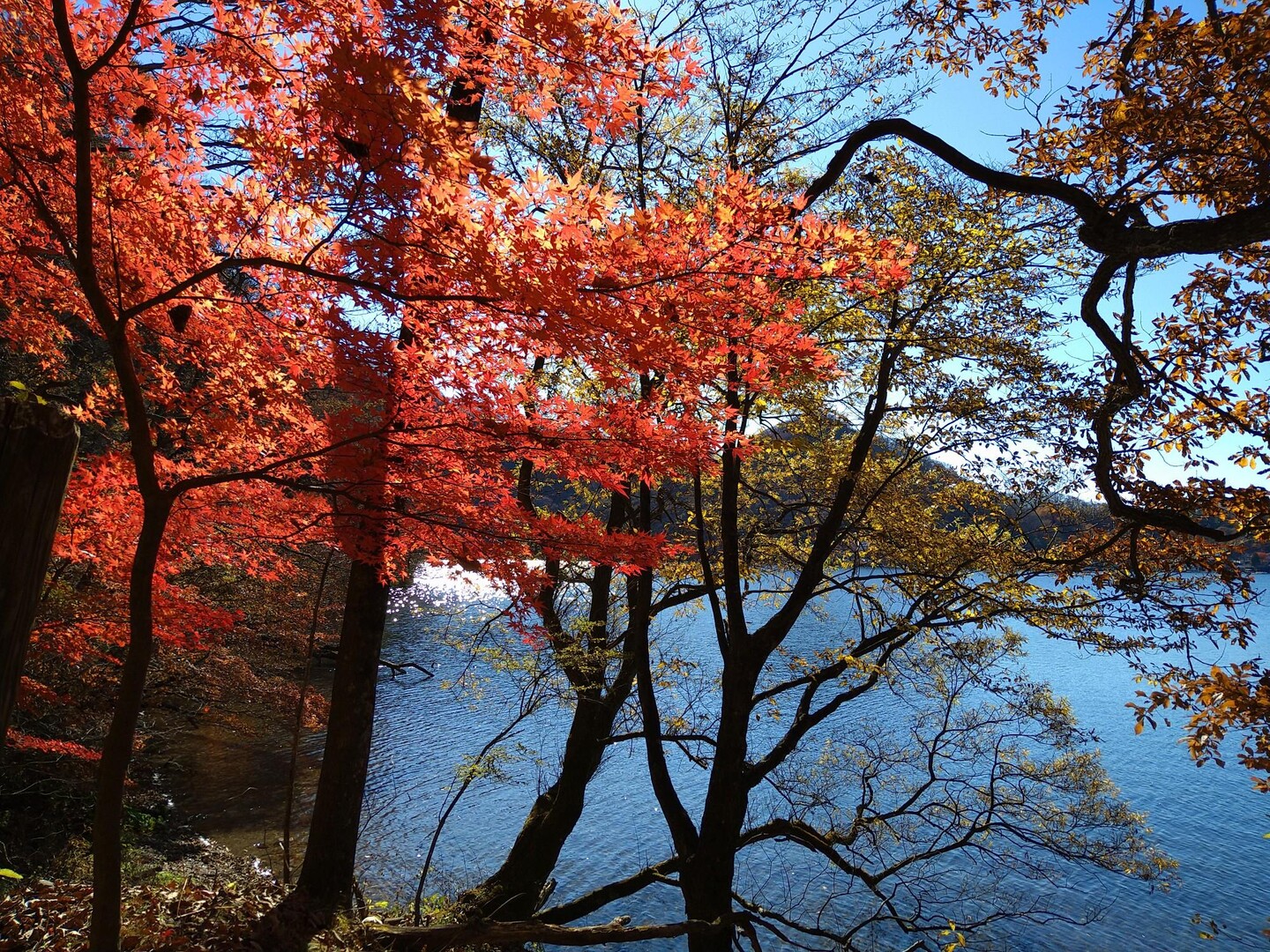 榛名山 掃部ヶ岳～榛名湖一周 / たけさんの榛名山・天狗山・天目山の活動データ | YAMAP / ヤマップ
