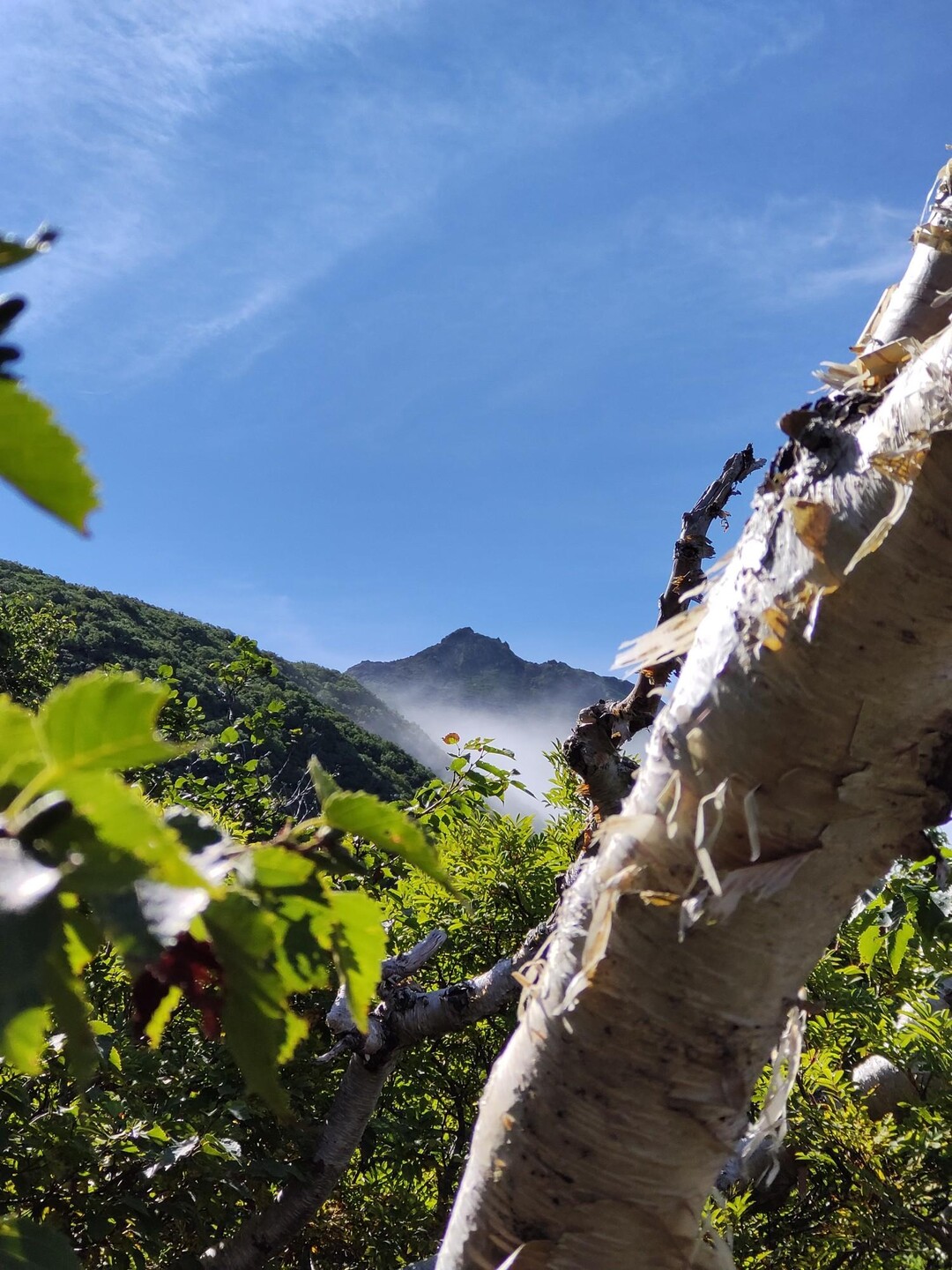 怪しい天気!羅臼岳 / kaz kitさんの羅臼岳・硫黄山（知床）・羅臼湖の活動データ | YAMAP / ヤマップ