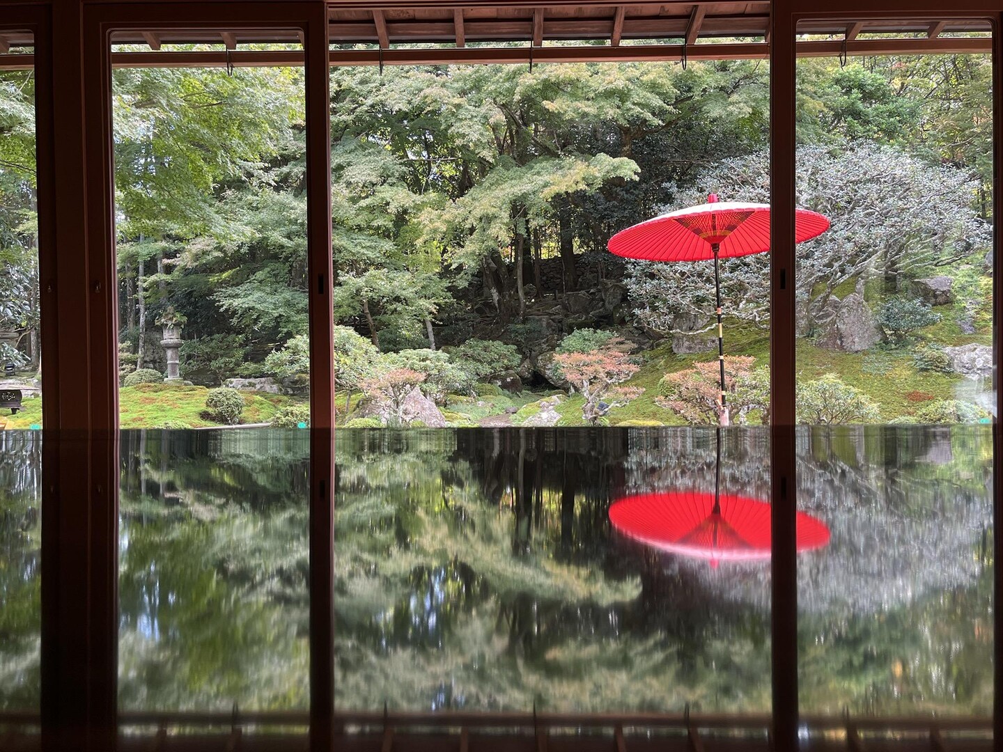 紅葉を求めて🍁ゆるふわ観光登山⛰️登山10% / Yu-min.Kさんの比叡山・横高山・梶山の活動データ | YAMAP / ヤマップ