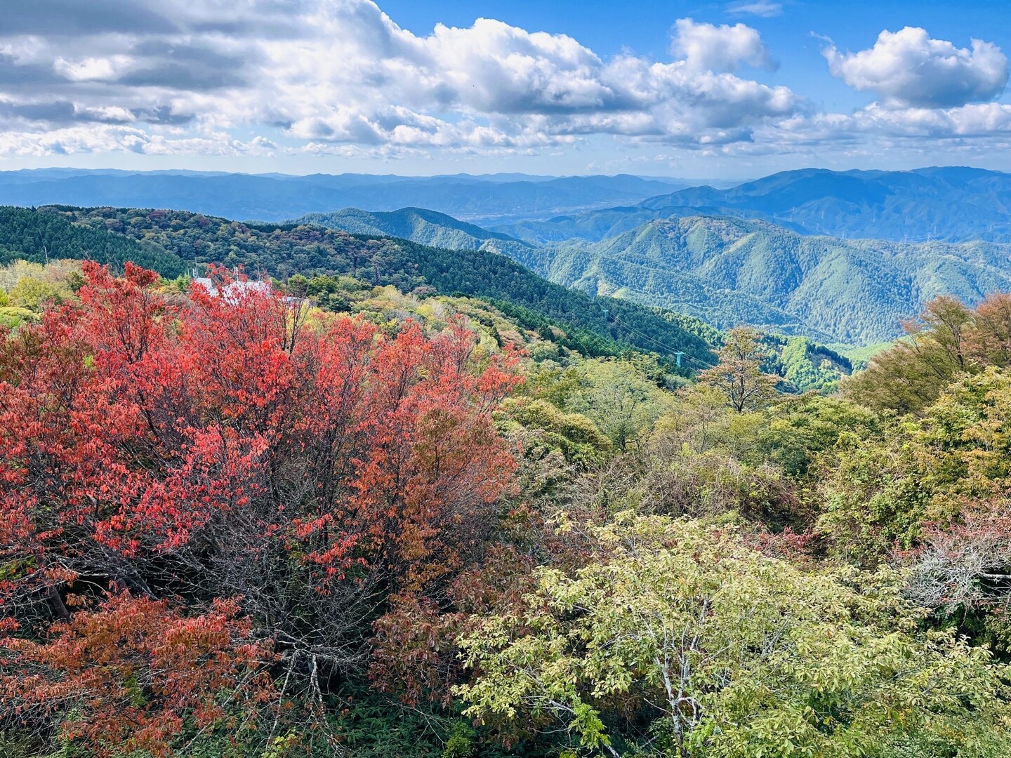90回目の金剛山⛰️ / OLD HOUSEさんの金剛山・二上山・大和葛城山の活動データ | YAMAP / ヤマップ