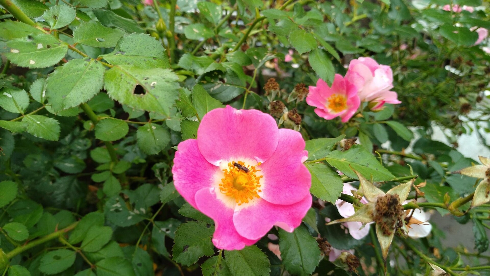 最近ドーモ頂いた方のプロフに心に染みる言... / akiさんのモーメント | YAMAP / ヤマップ