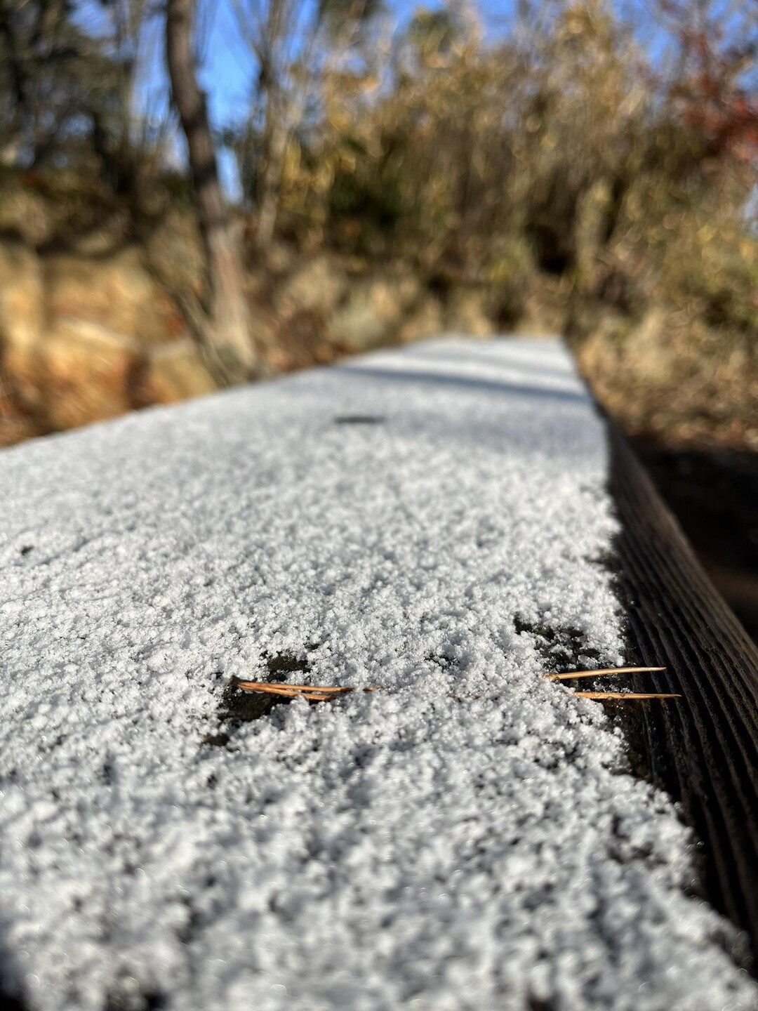 蔵王山 初冠雪？ / 47craftさんの蔵王山の活動データ | YAMAP / ヤマップ