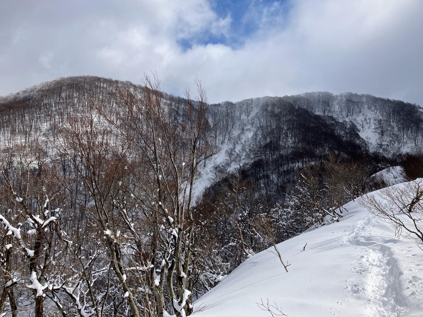 富士写ヶ岳 / sono_01さんの富士写ヶ岳・小倉谷山・火燈山の活動データ | YAMAP / ヤマップ