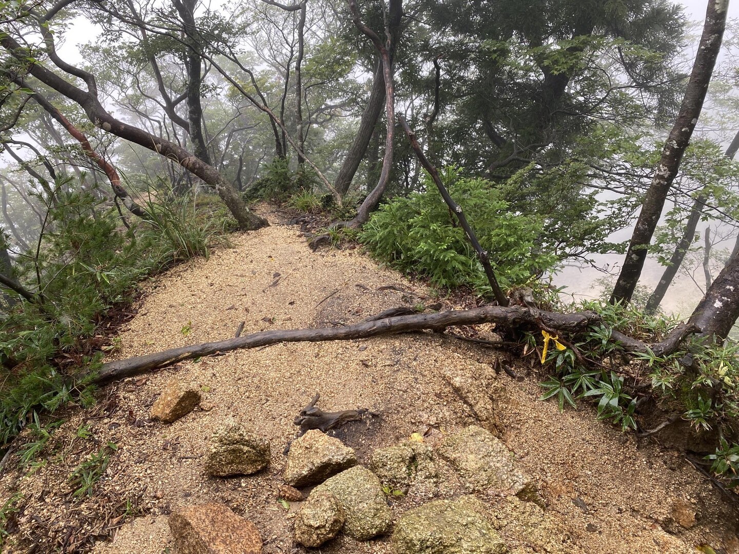 k2ma34さんの投稿したフィールドメモ | YAMAP / ヤマップ