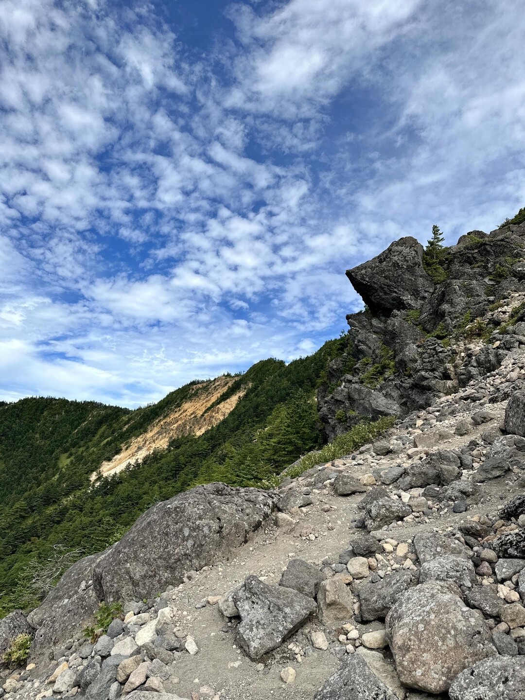 水ノ塔山 / qkaruさんの湯ノ丸山・角間山・鍋蓋山の活動データ | YAMAP / ヤマップ