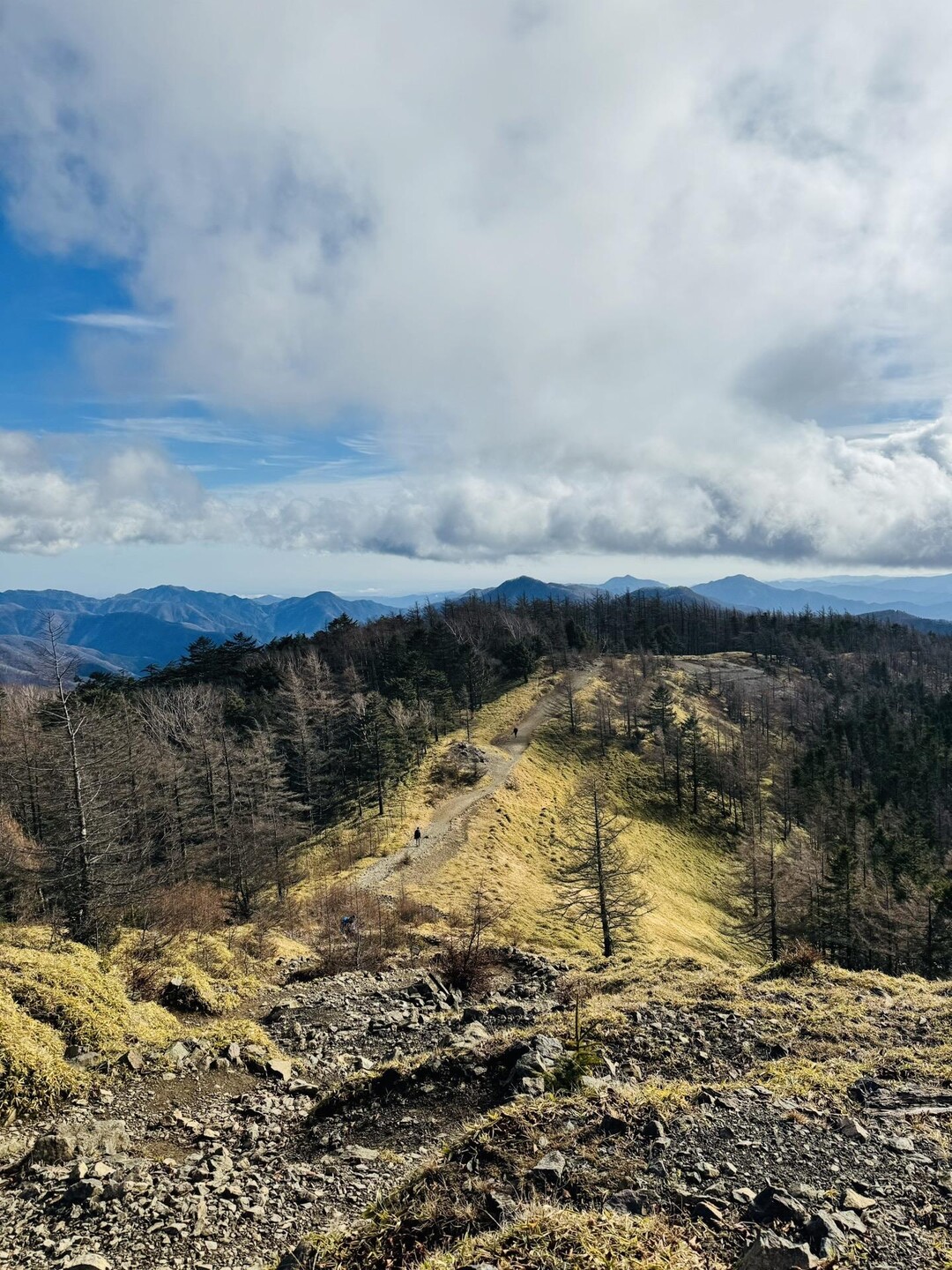 【日本百名山】【山梨百名山】七ツ石山・ヨモギノ頭・小雲取山・雲取山 / amuさんの雲取山・鷹ノ巣山・七ツ石山の活動日記 | YAMAP / ヤマップ