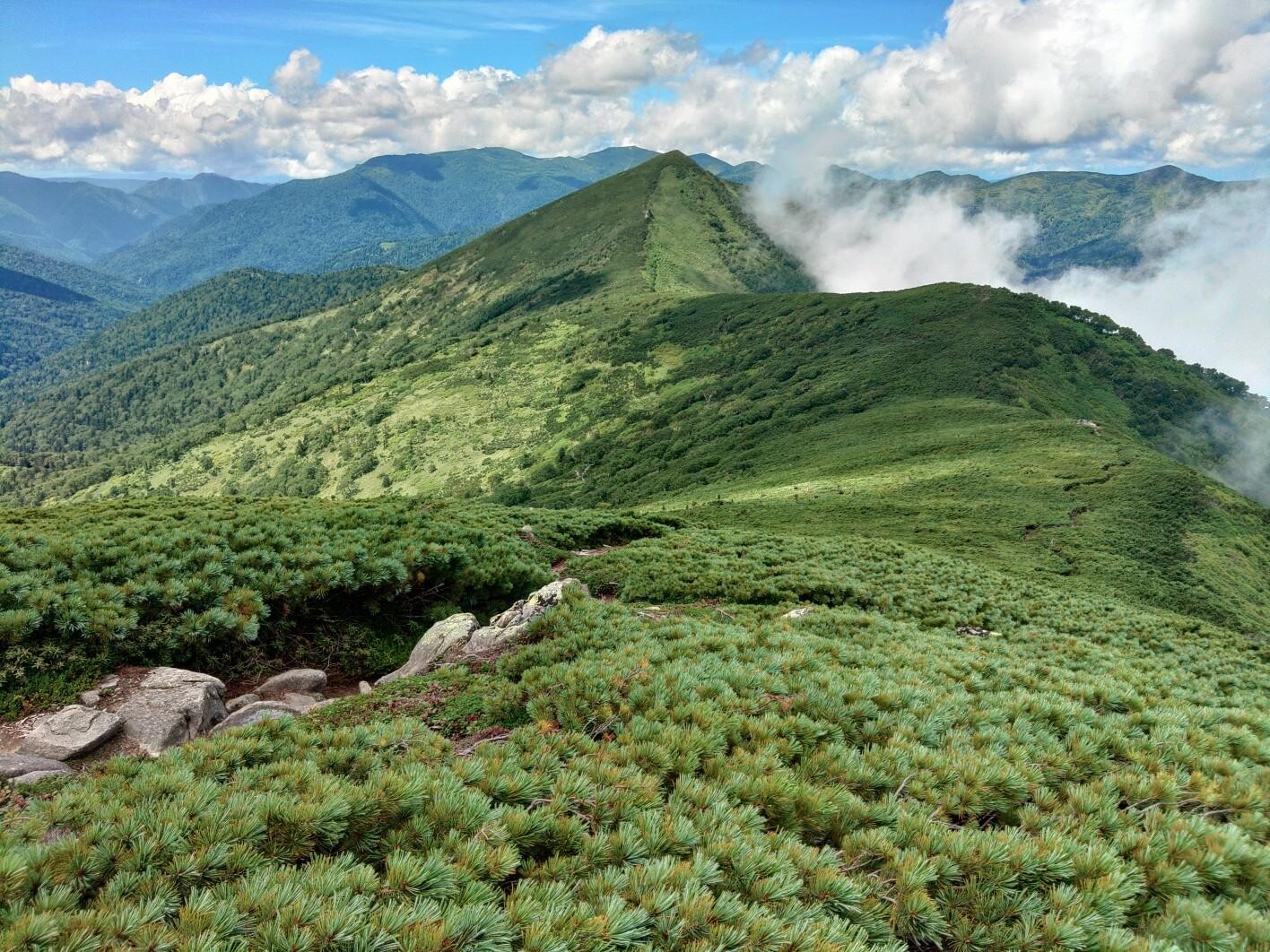 芽室岳・パンケヌーシ岳 / junyaさんの芽室岳・久山岳・剣山の活動データ | YAMAP / ヤマップ