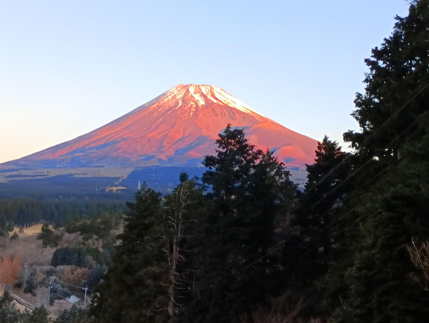 越前岳 / miekoさんの愛鷹山・大岳・黒岳の活動データ | YAMAP / ヤマップ