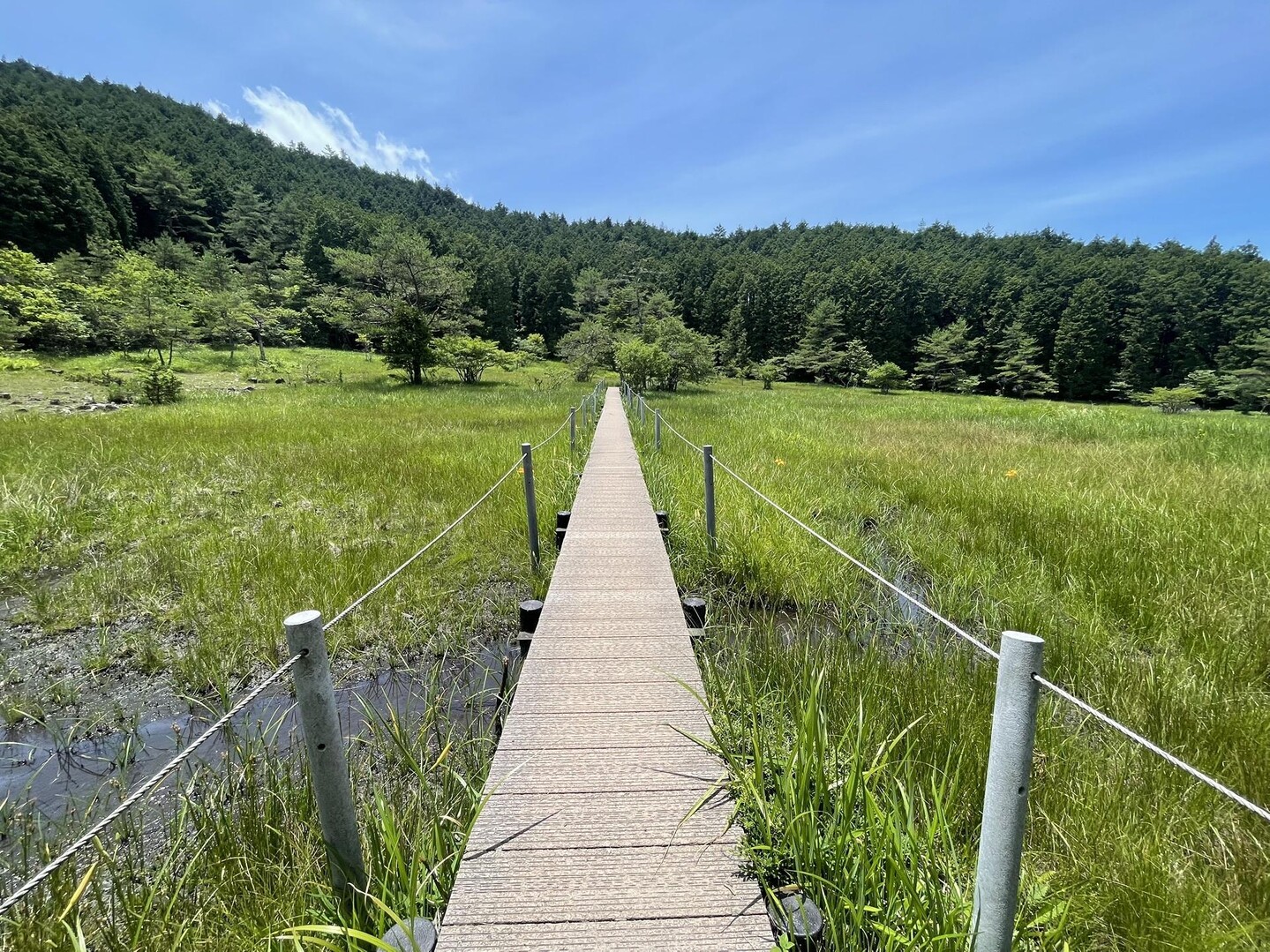 馬の背山・八百山・屏風山・北屏風山 / monさんの屏風山の活動データ | YAMAP / ヤマップ
