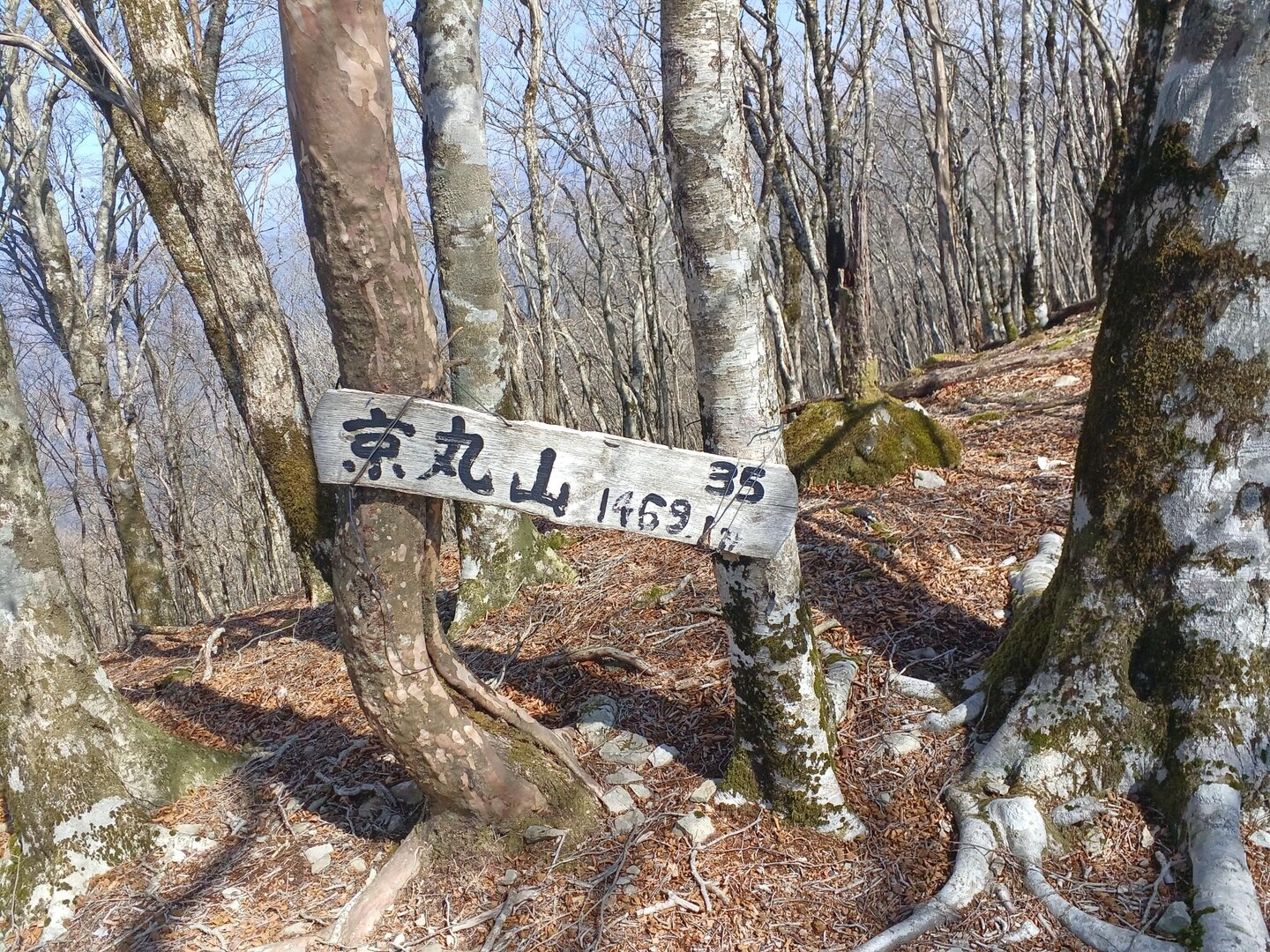 静かな京丸山 / Te ruさんの蕎麦粒山・三合山・高塚山の活動データ | YAMAP / ヤマップ