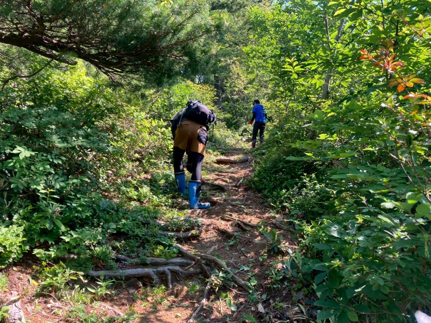 今日は中ノ岳の山開きでした。 昨日丹後山... / だいらさんのモーメント | YAMAP / ヤマップ