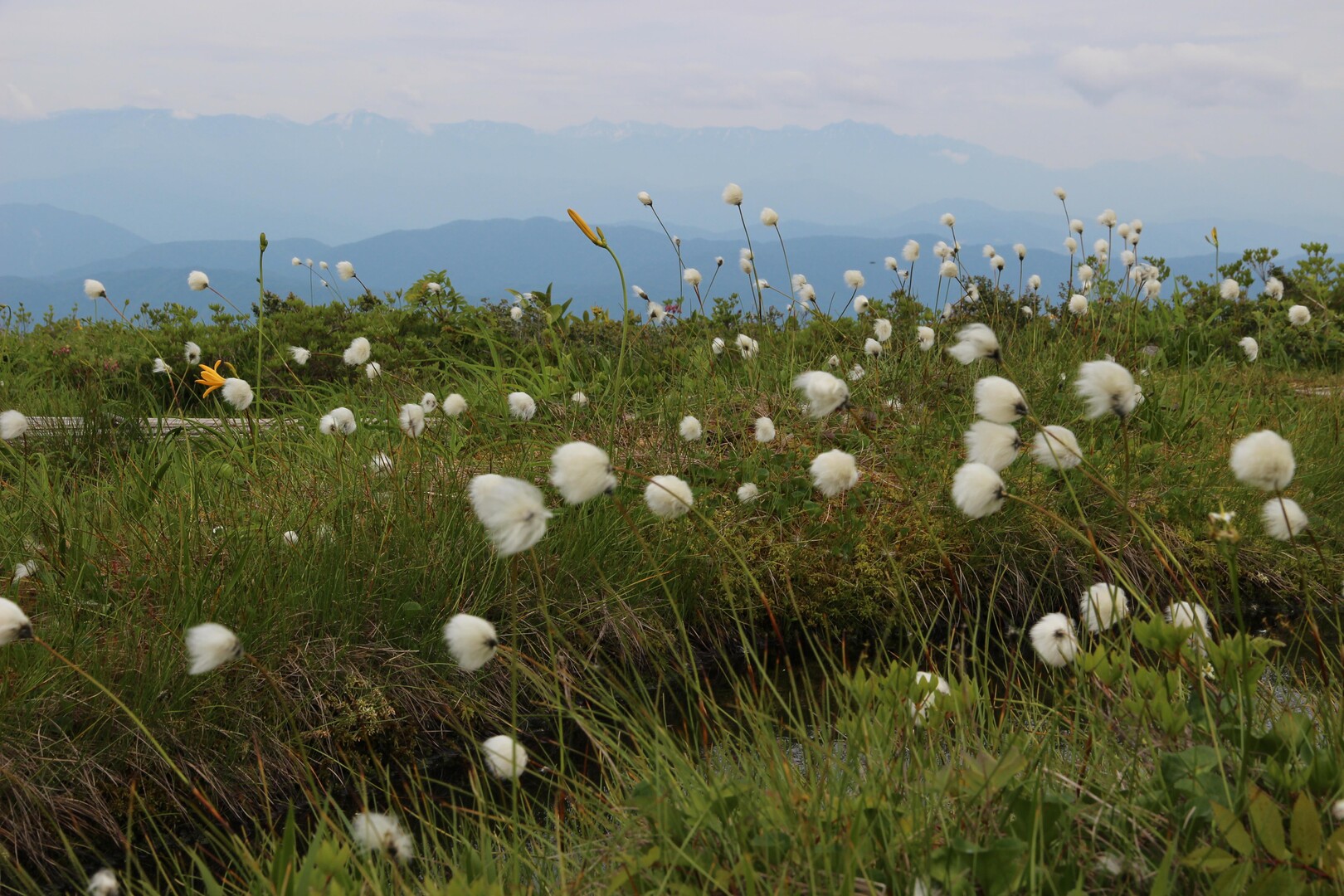 白木峰 / YYさんの白木峰・小白木峰の活動データ | YAMAP / ヤマップ