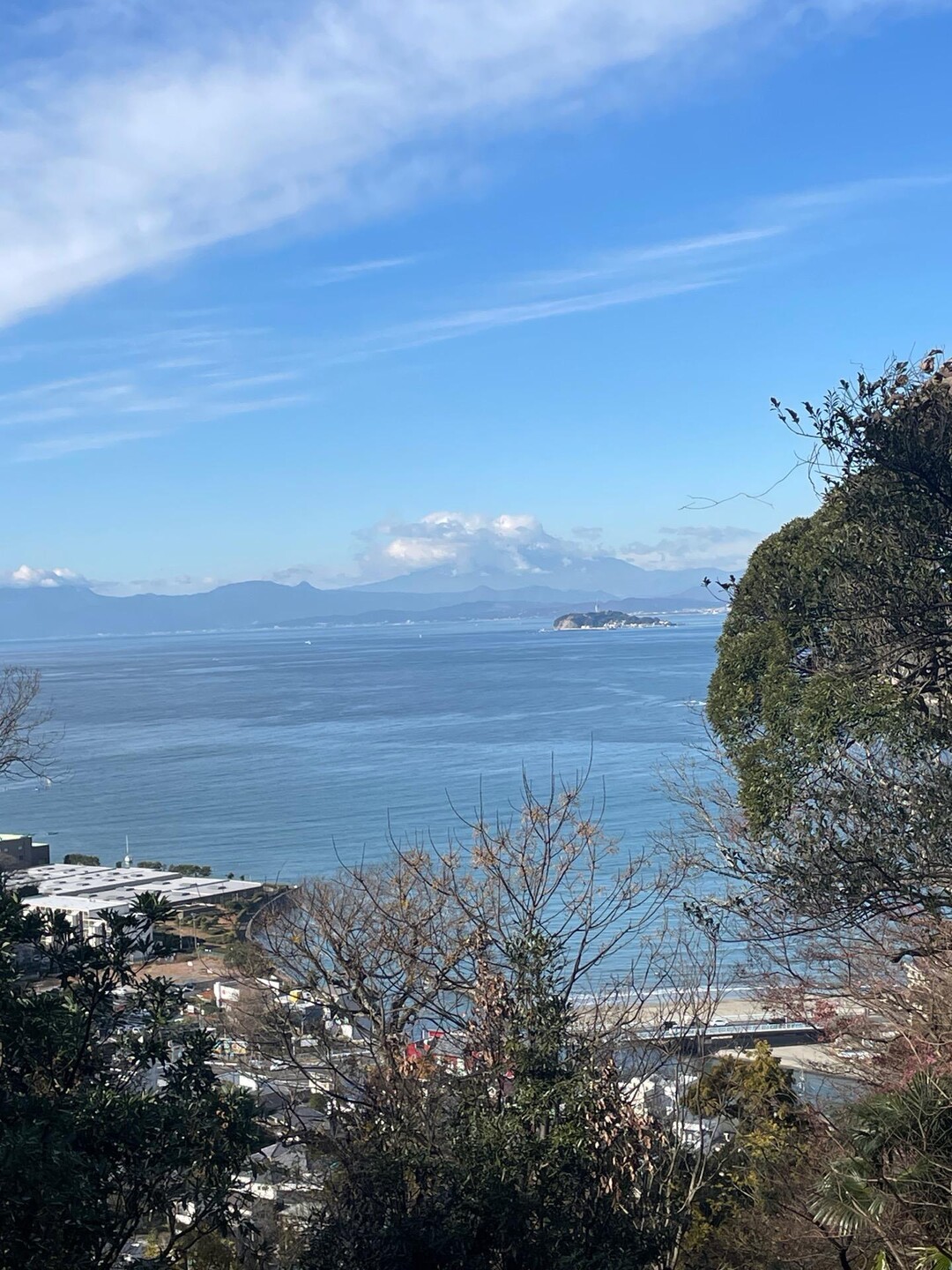 初めての三浦アルプス / まつさんの三浦アルプス・二子山・仙元山の活動日記 | YAMAP / ヤマップ