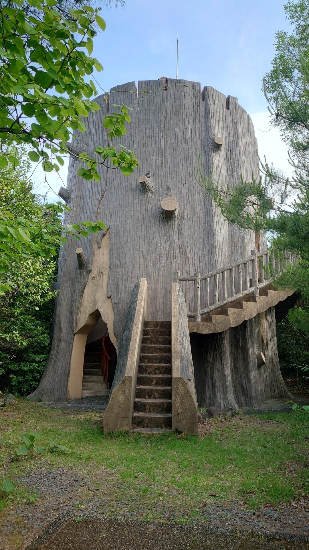 朝活👟 塩ヶ森〜大磨山 / とぉる🍉さんの皿ヶ嶺・梅ヶ谷山・うなめごの活動データ | YAMAP / ヤマップ