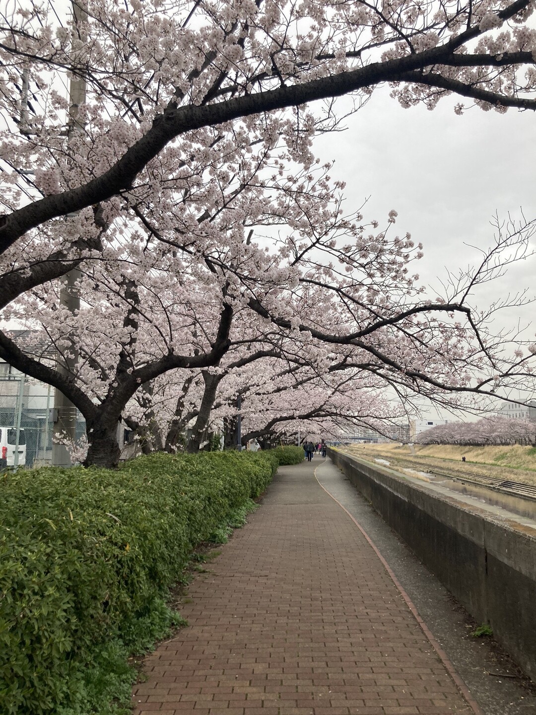仕事前にランニング12km 走るには良い... / バブルス213さんのモーメント | YAMAP / ヤマップ