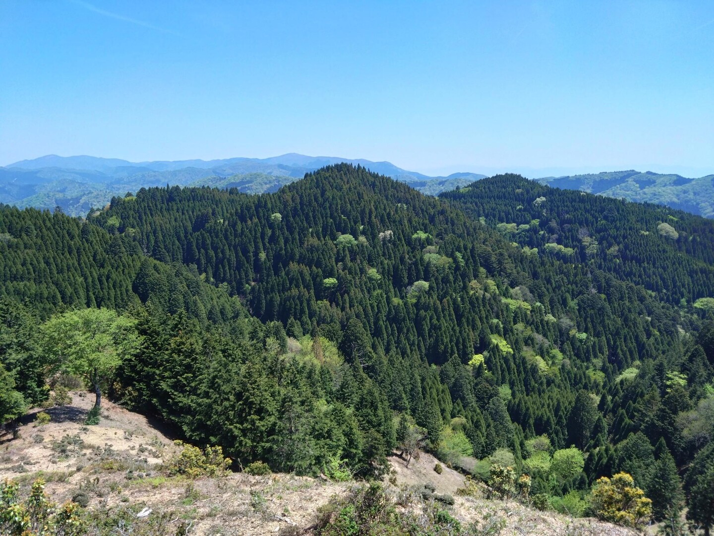 雲取山北峰・雲取山 / omifuji4さんの雲取山の活動データ | YAMAP / ヤマップ