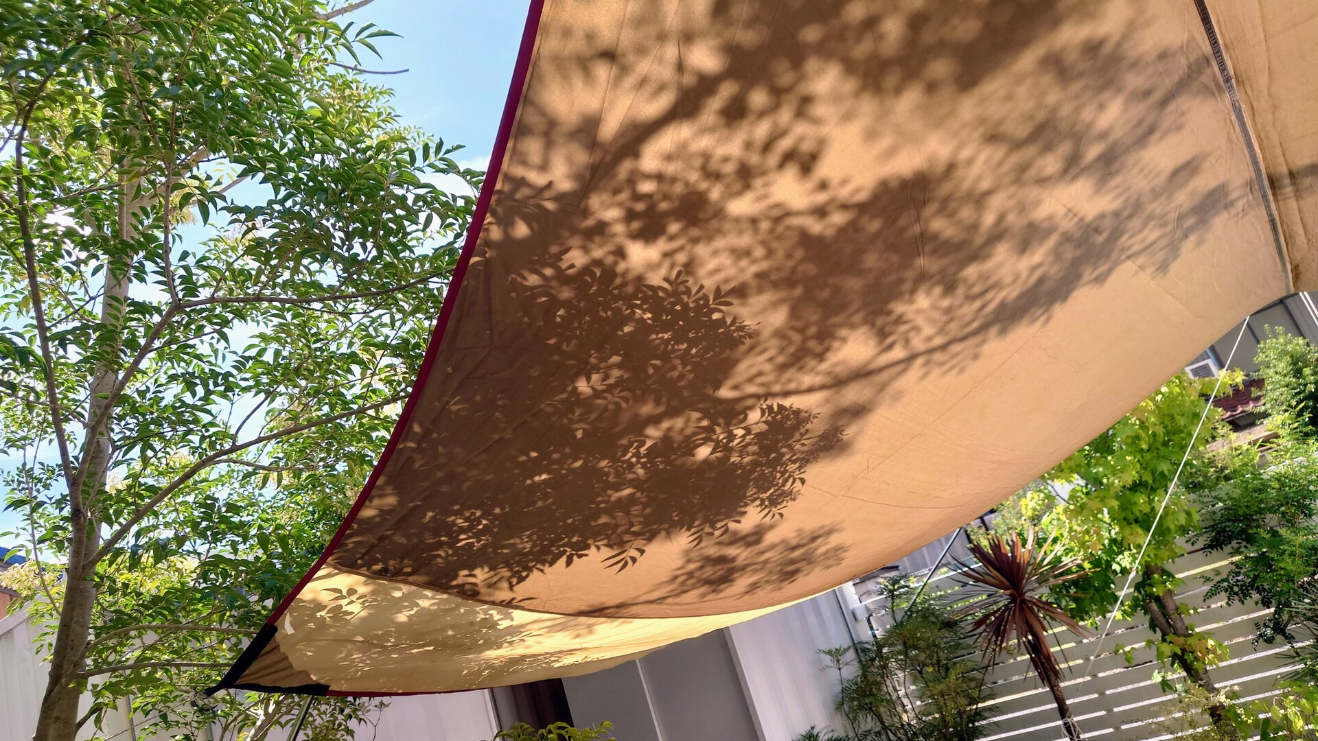 お盆は息子たちも帰省し久しぶりに家族5人... / yanagingさんのモーメント | YAMAP / ヤマップ