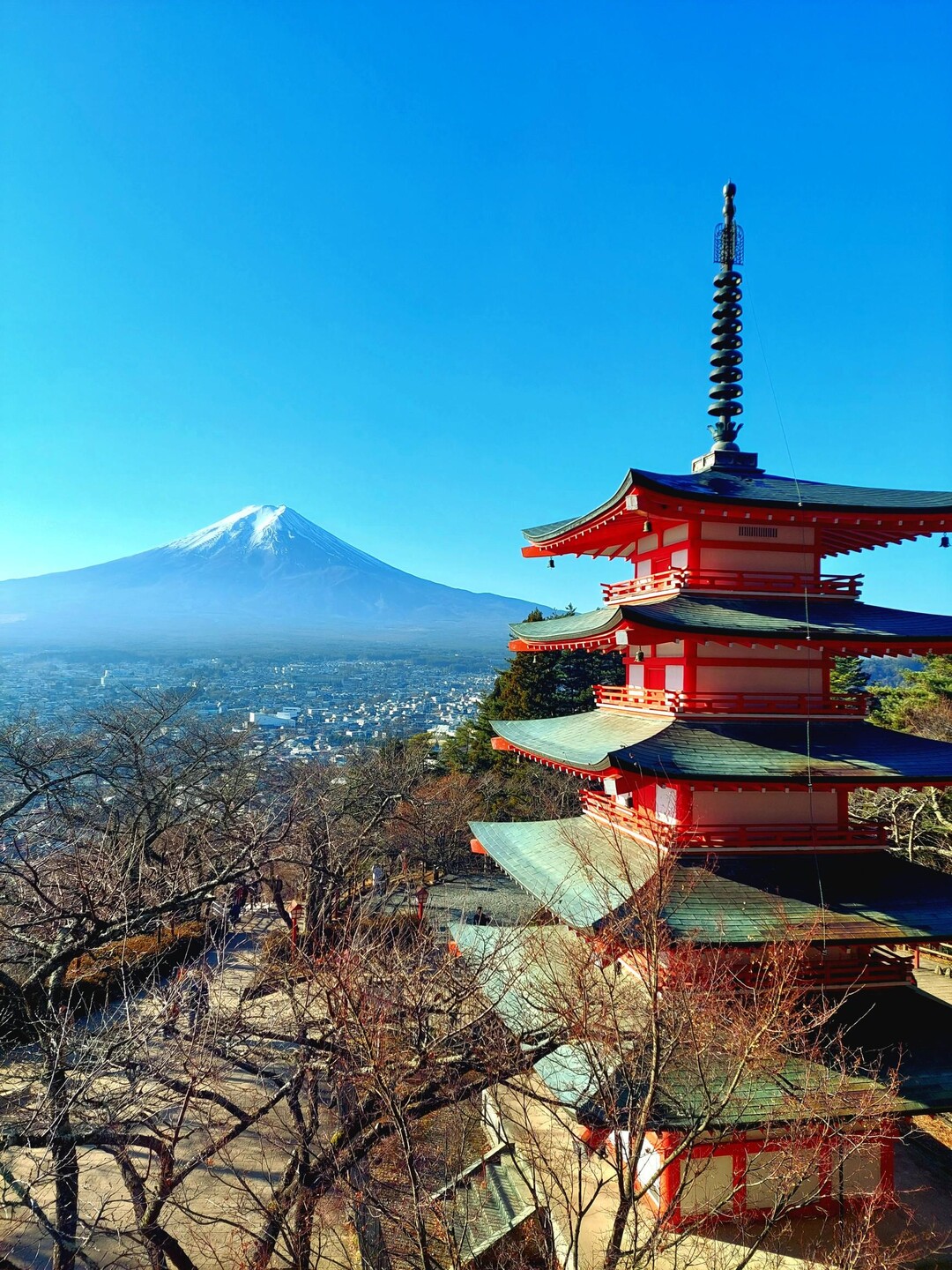 新倉富士浅間神社からの杓子山 / sis_kさんのFUJISAN LONG TRAIL（忍野・山中湖エリア EAST）の活動データ | YAMAP / ヤマップ