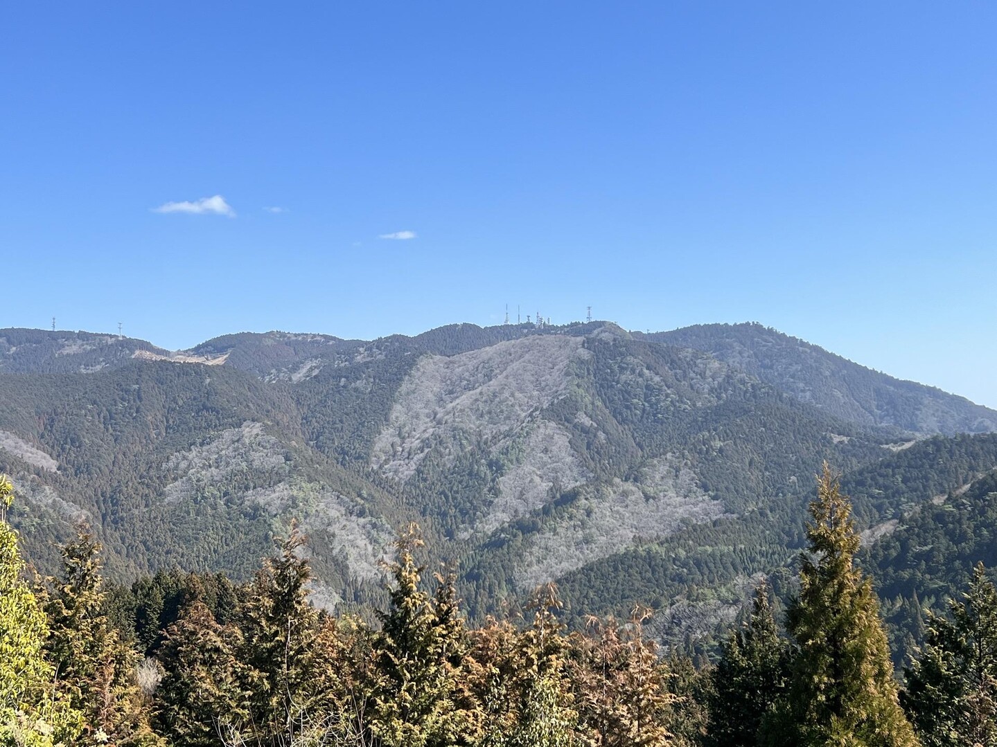本宮山・屋床峰・雨山山 / togonovoさんの本宮山・大日山・風頭山の活動データ | YAMAP / ヤマップ