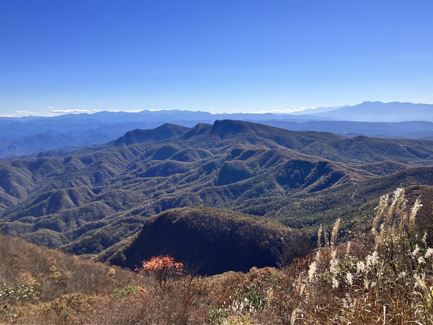 浅間隠山⛰️⛰️ / KIYAtさんの浅間隠山・駒髪山・丸岩の活動データ | YAMAP / ヤマップ