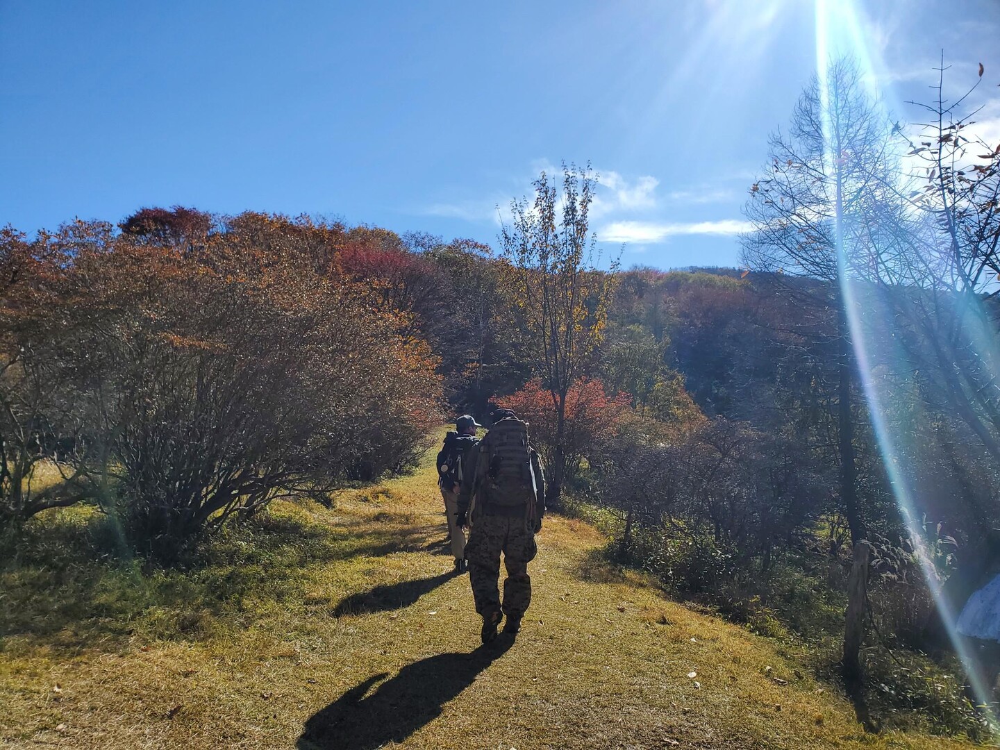 古峰原・方塞山 / E35-sun☀️さんの横根山・方塞山・井戸湿原の活動データ | YAMAP / ヤマップ