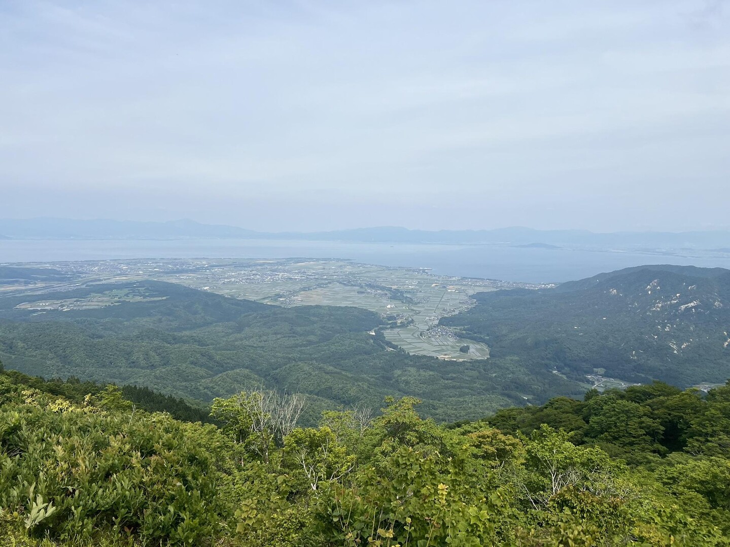 FAIRY TRAIL 60k / ぞのさんの雲洞谷山・白倉岳・鷹ヶ峰の活動データ | YAMAP / ヤマップ