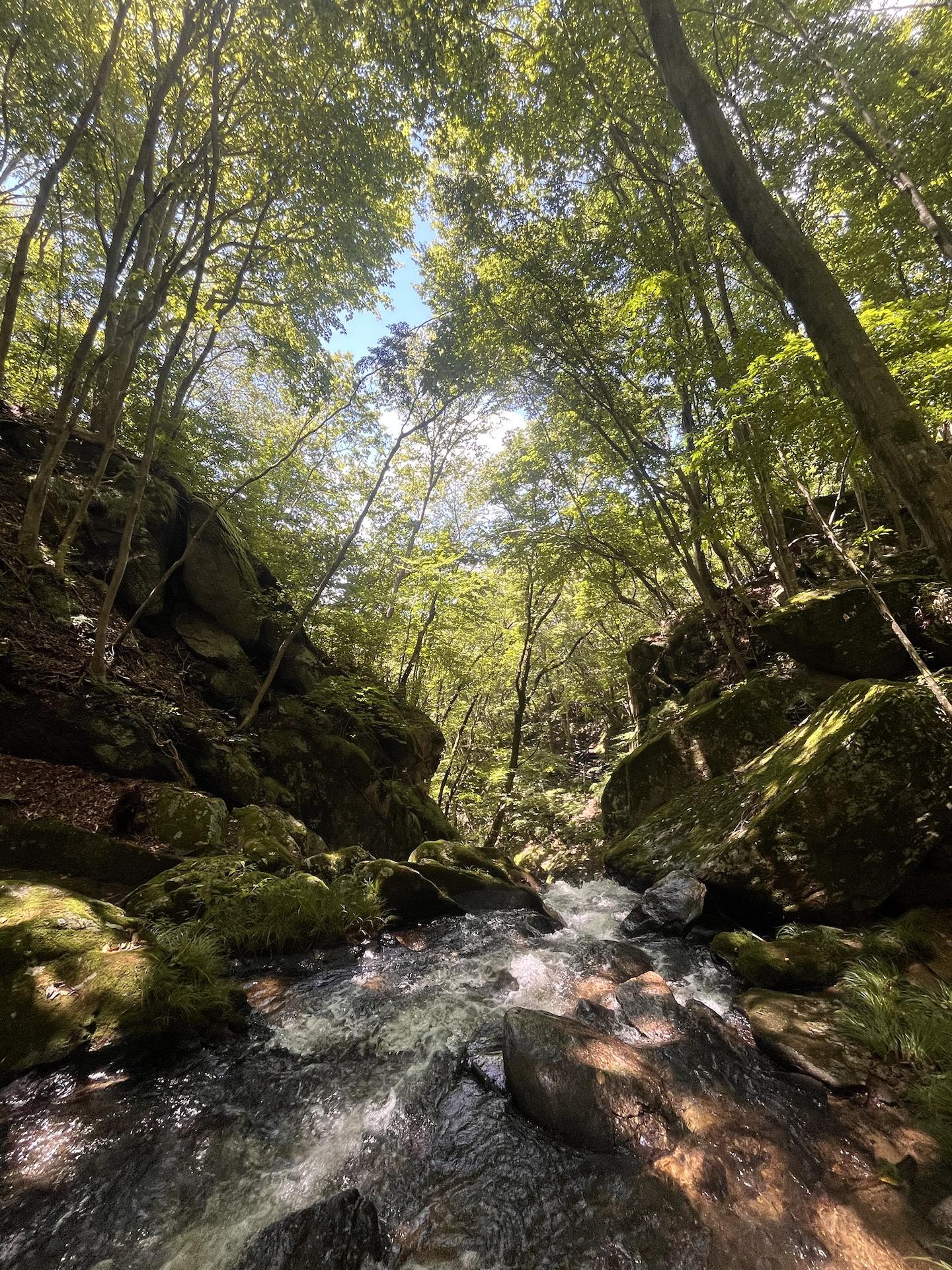 滝川渓谷-2025-08-13 / hachacha-umemeさんの滝川渓谷の活動データ | YAMAP / ヤマップ