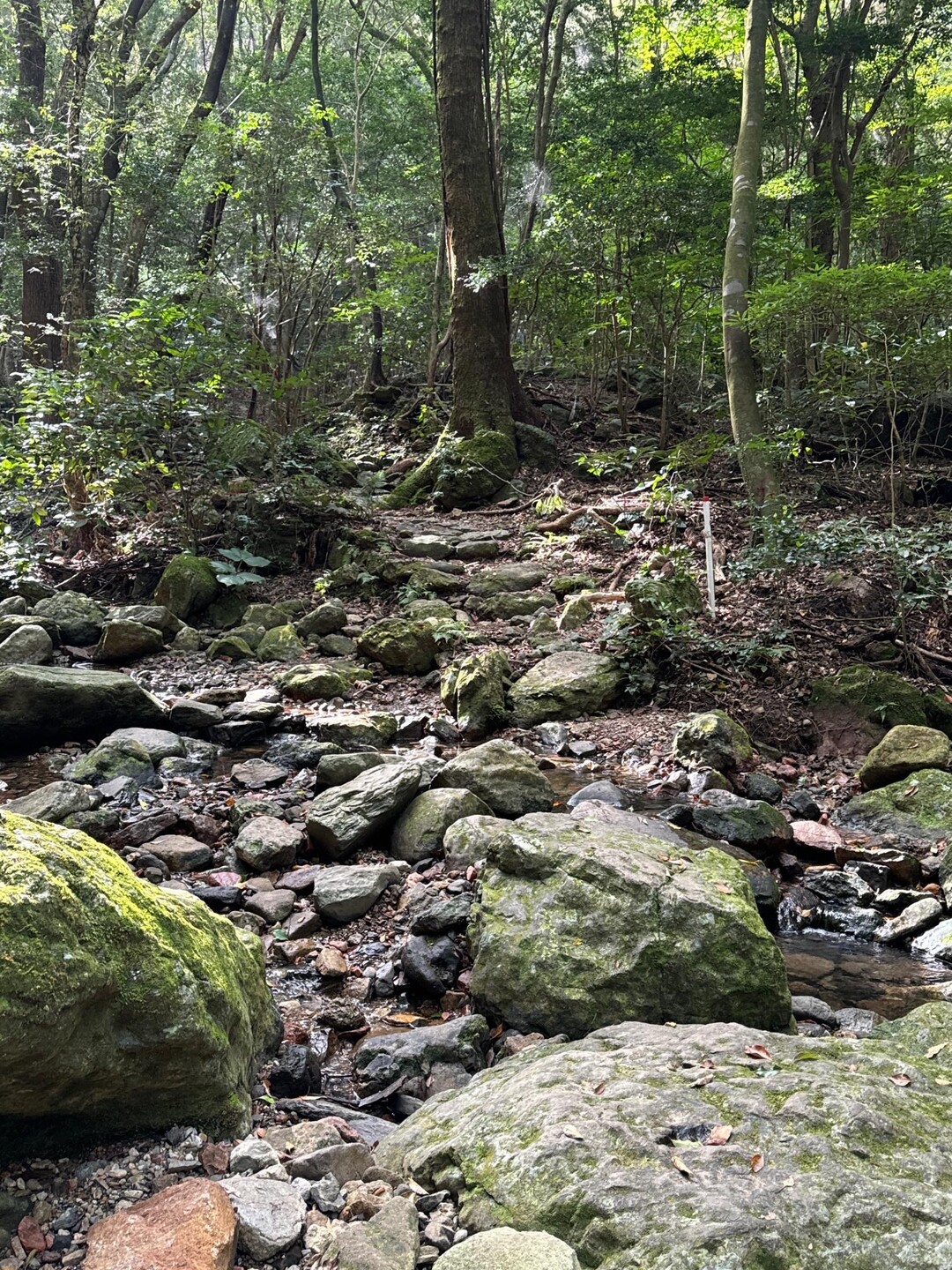 chi._.さんの投稿したフィールドメモ | YAMAP / ヤマップ