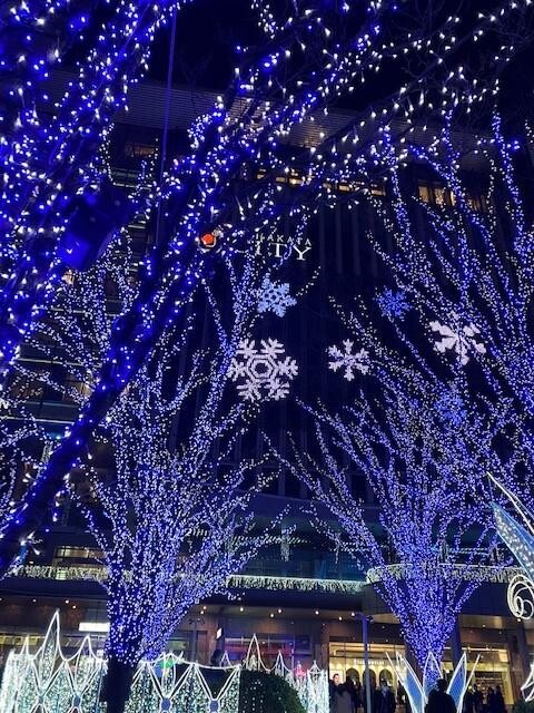 JR博多駅の紅葉🍁 / りゅーさんさんのモーメント | YAMAP / ヤマップ