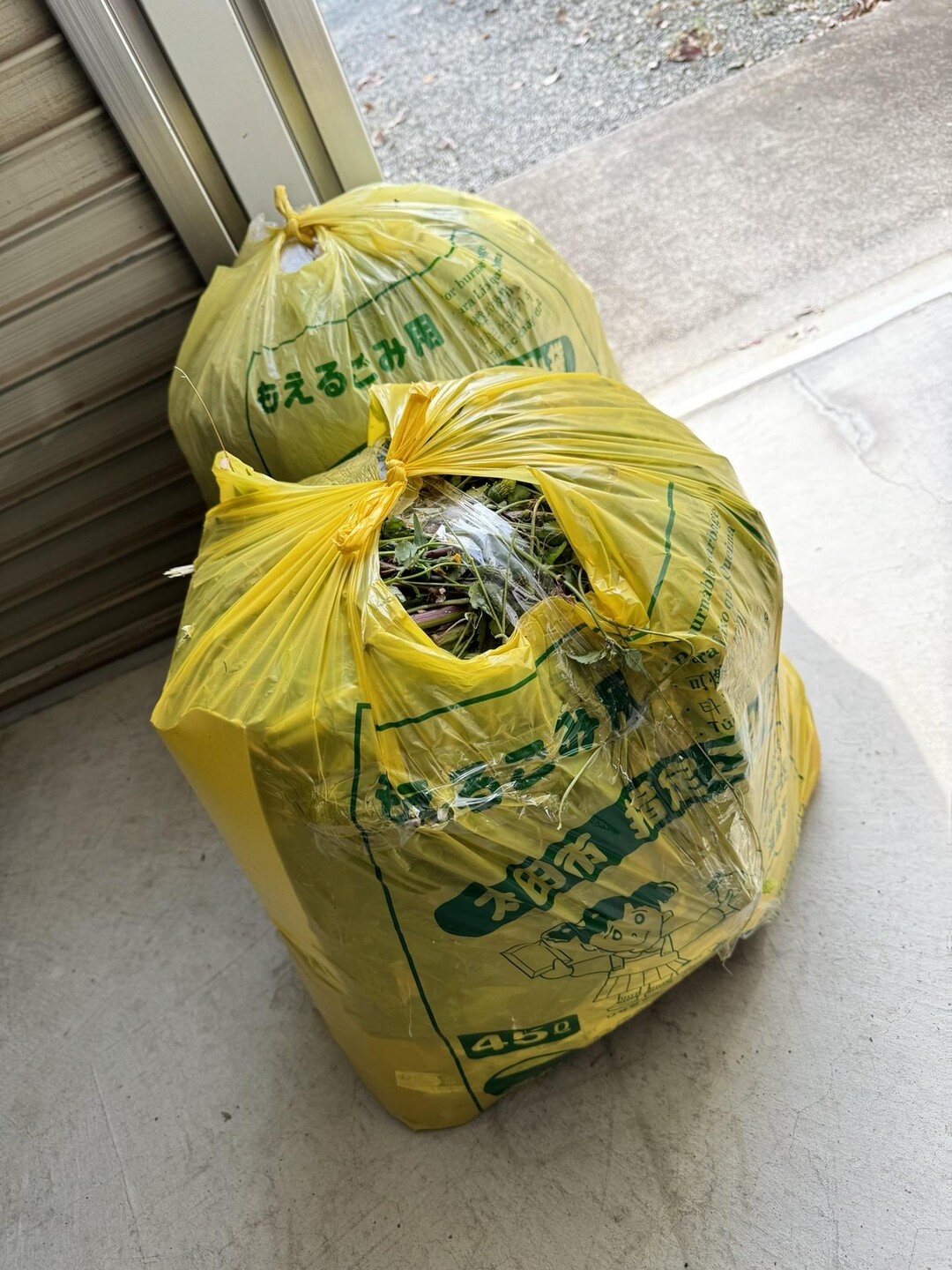 忙しい1日 😱 / ｺﾖｩﾃ(coyote)さんの金山（新田金山）・八王子丘陵の活動データ | YAMAP / ヤマップ