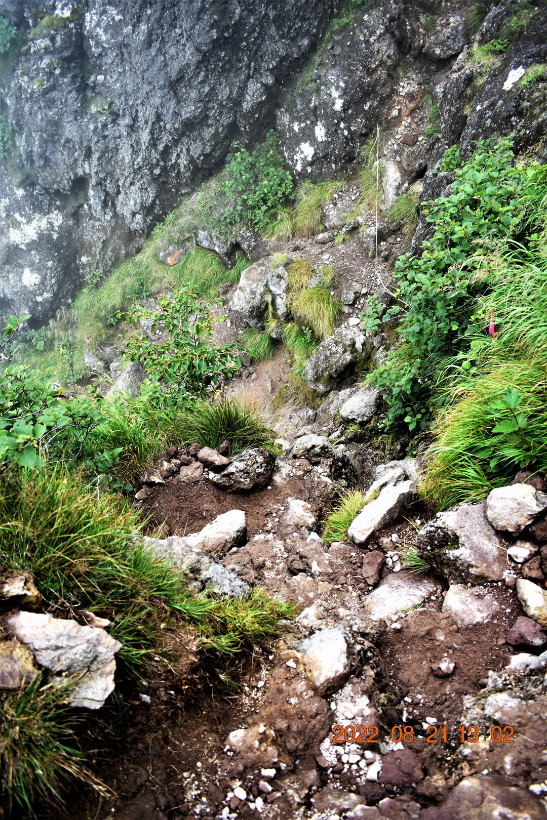 ピエール・HOSHIさんの投稿したフィールドメモ | YAMAP / ヤマップ