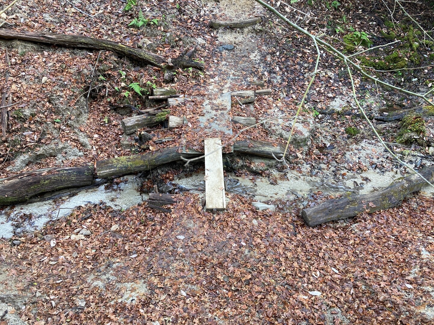 K.KAIさんの投稿したフィールドメモ | YAMAP / ヤマップ