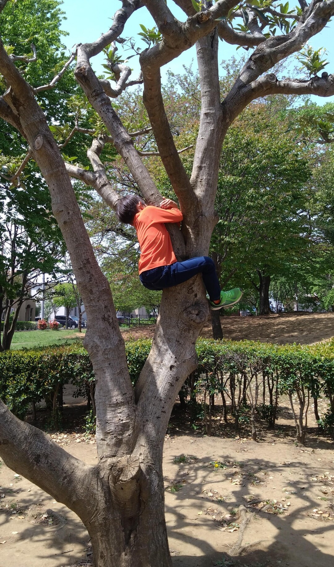 おはようございます🌂朝からダラダラの息... / SORAさんのモーメント | YAMAP / ヤマップ