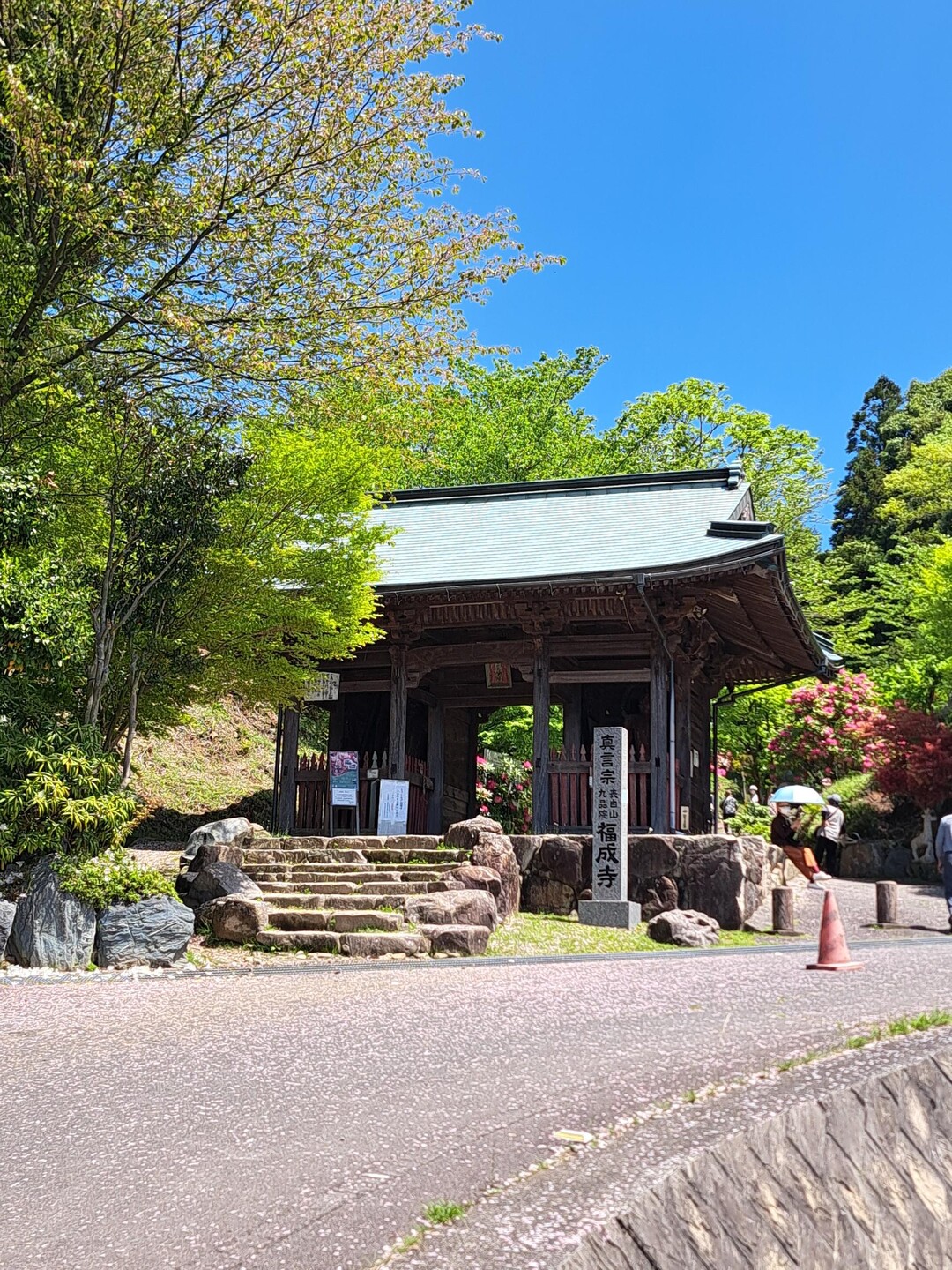 シャクナゲとお好み焼きと古墳 今日は東... / DSHさんのモーメント | YAMAP / ヤマップ