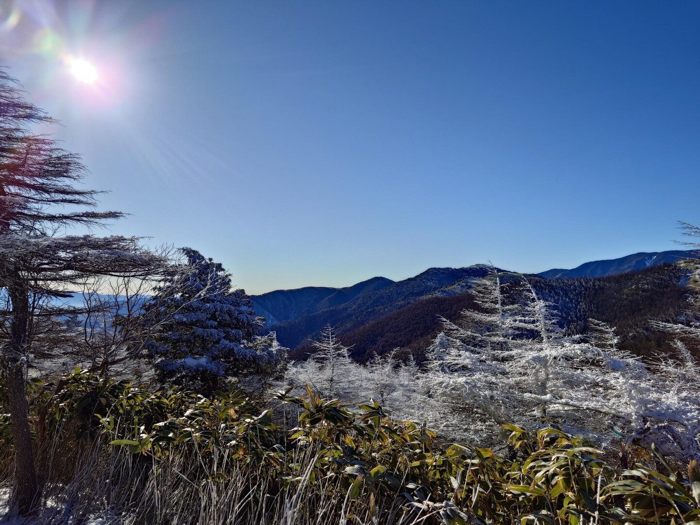 南沢山・横川山（湯舟沢山） / isoさんの恵那山・大判山・神坂山の活動データ | YAMAP / ヤマップ