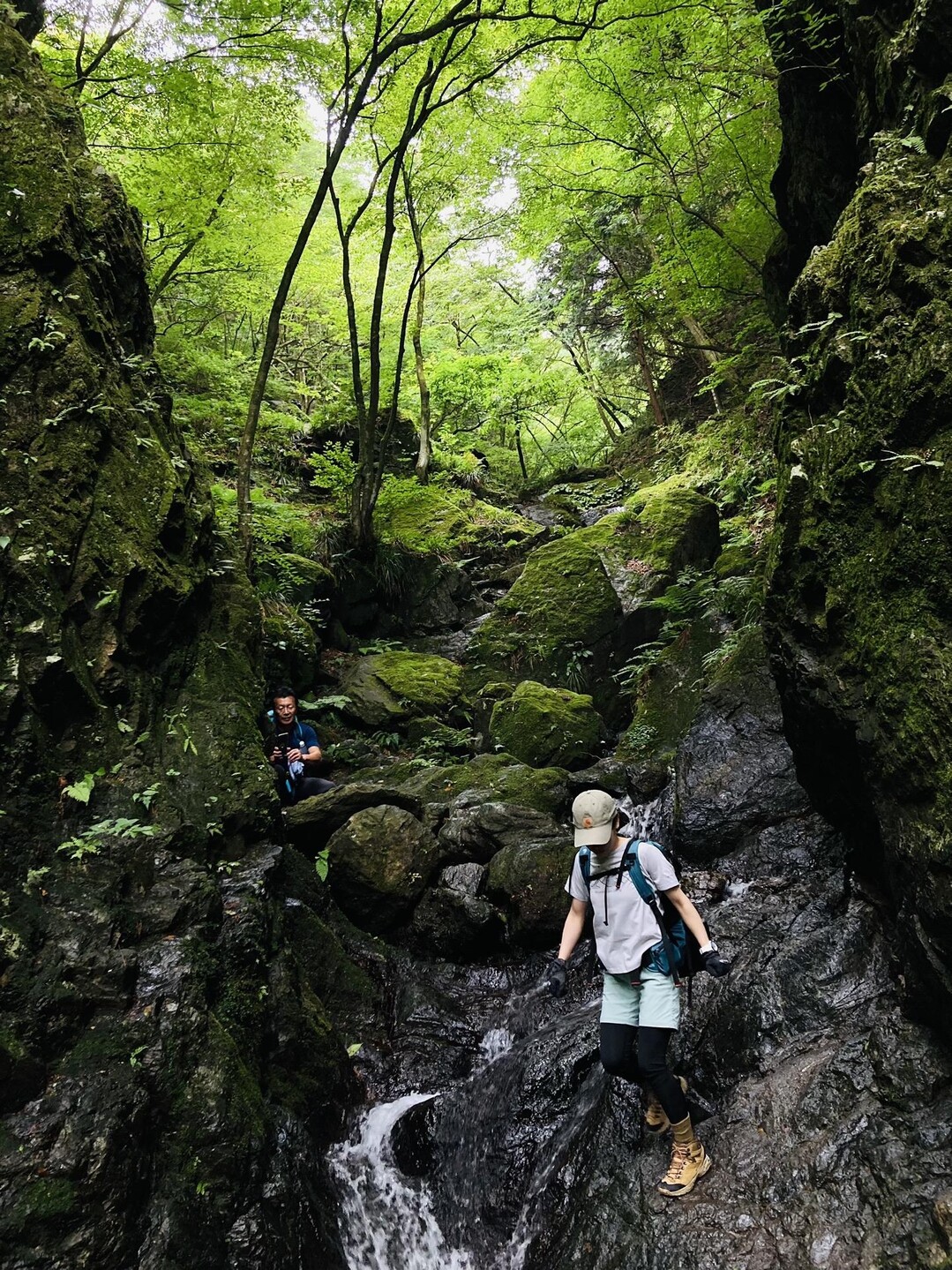 Buono 俺 🍀 charter flight to GHIBLI swamp / emio_さんの棒ノ折山（棒ノ嶺）の活動日記 ...