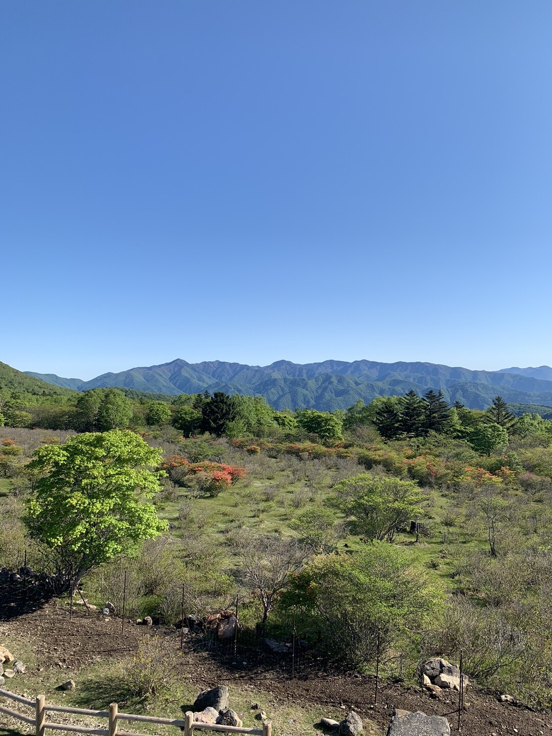 剣ヶ峰・釈迦ヶ岳(高原山) / tana yamaさんの高原山・釈迦ヶ岳・鶏頂山の活動データ | YAMAP / ヤマップ
