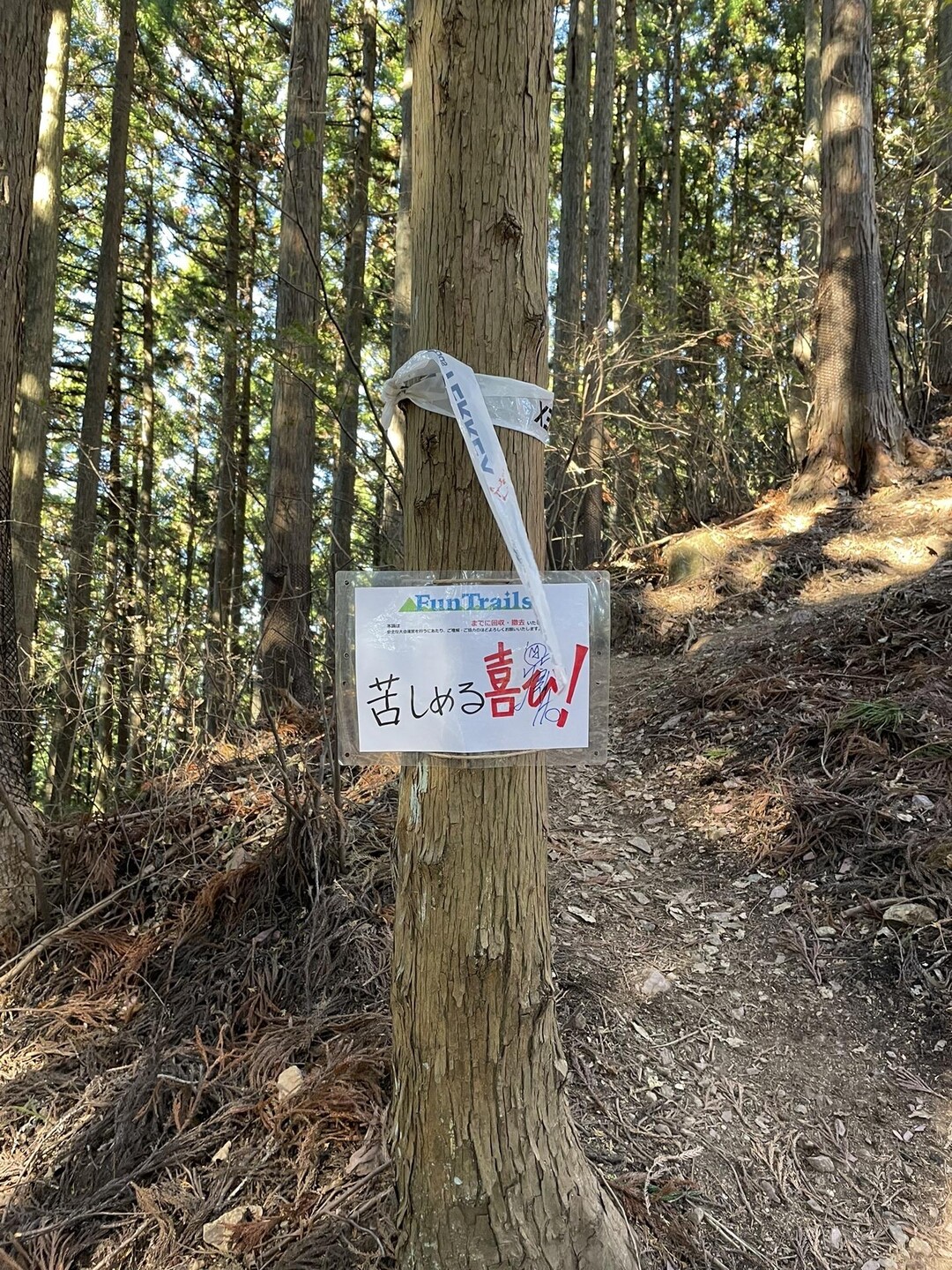 トレニックワールドおごとき試走とFTR少し応援📣 / マサさんの関八州見晴台の活動データ | YAMAP / ヤマップ